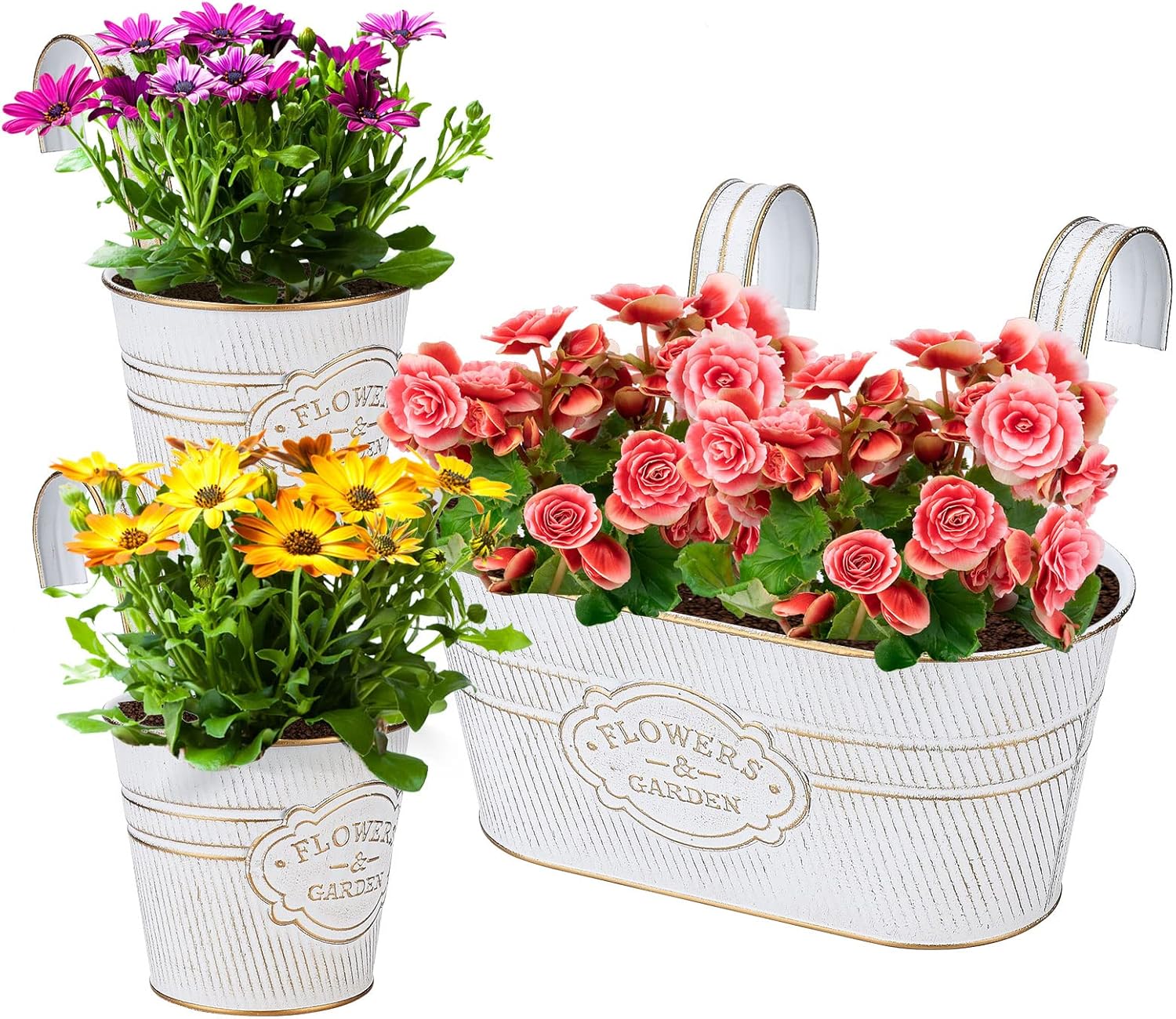 NINOMA Metal Iron Wall Hanging Flower Buckets Pots, Metal Hanging ...