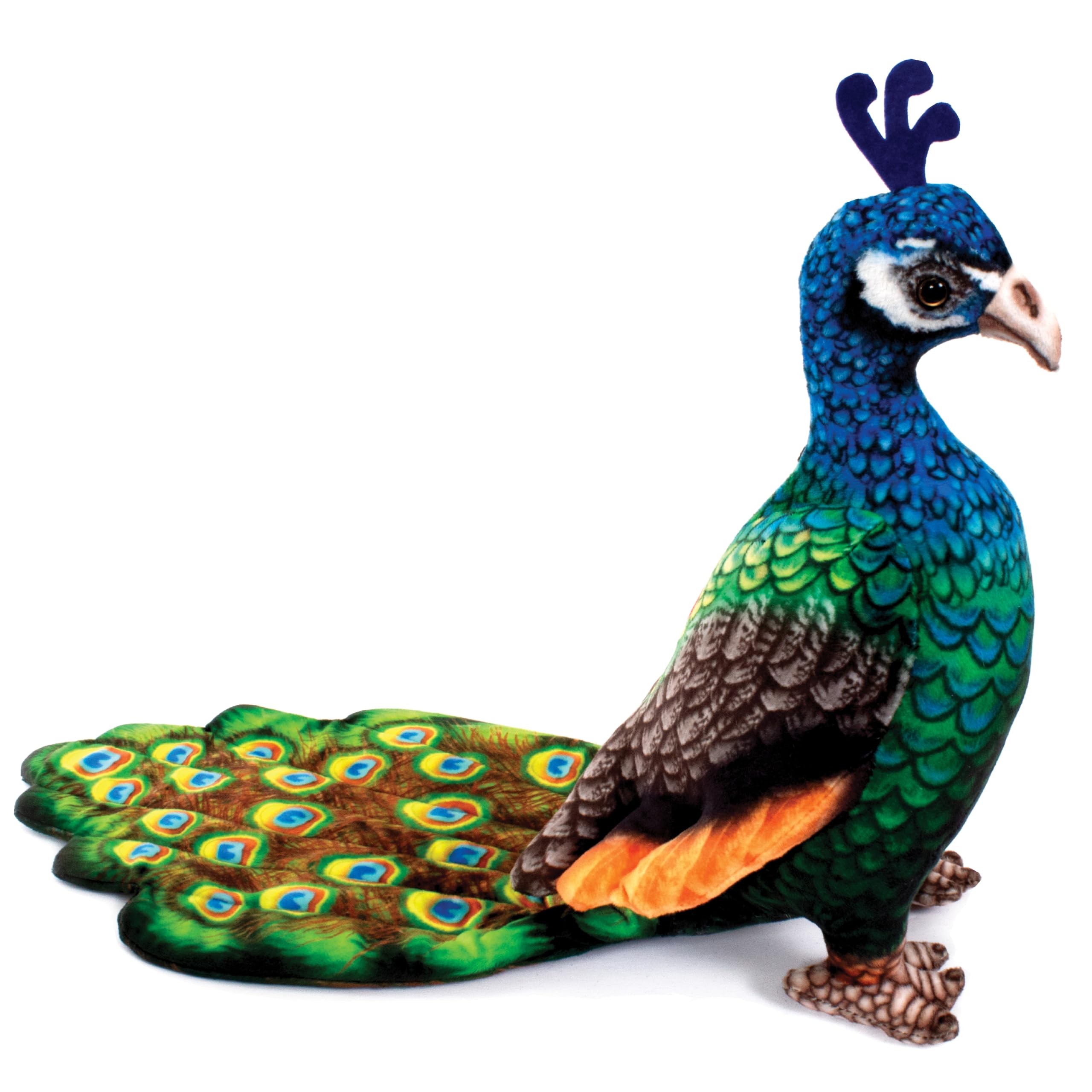 Amazon.com: Real Planet 14" Peacock Stuffed Animal - Exquisite Peacock ...