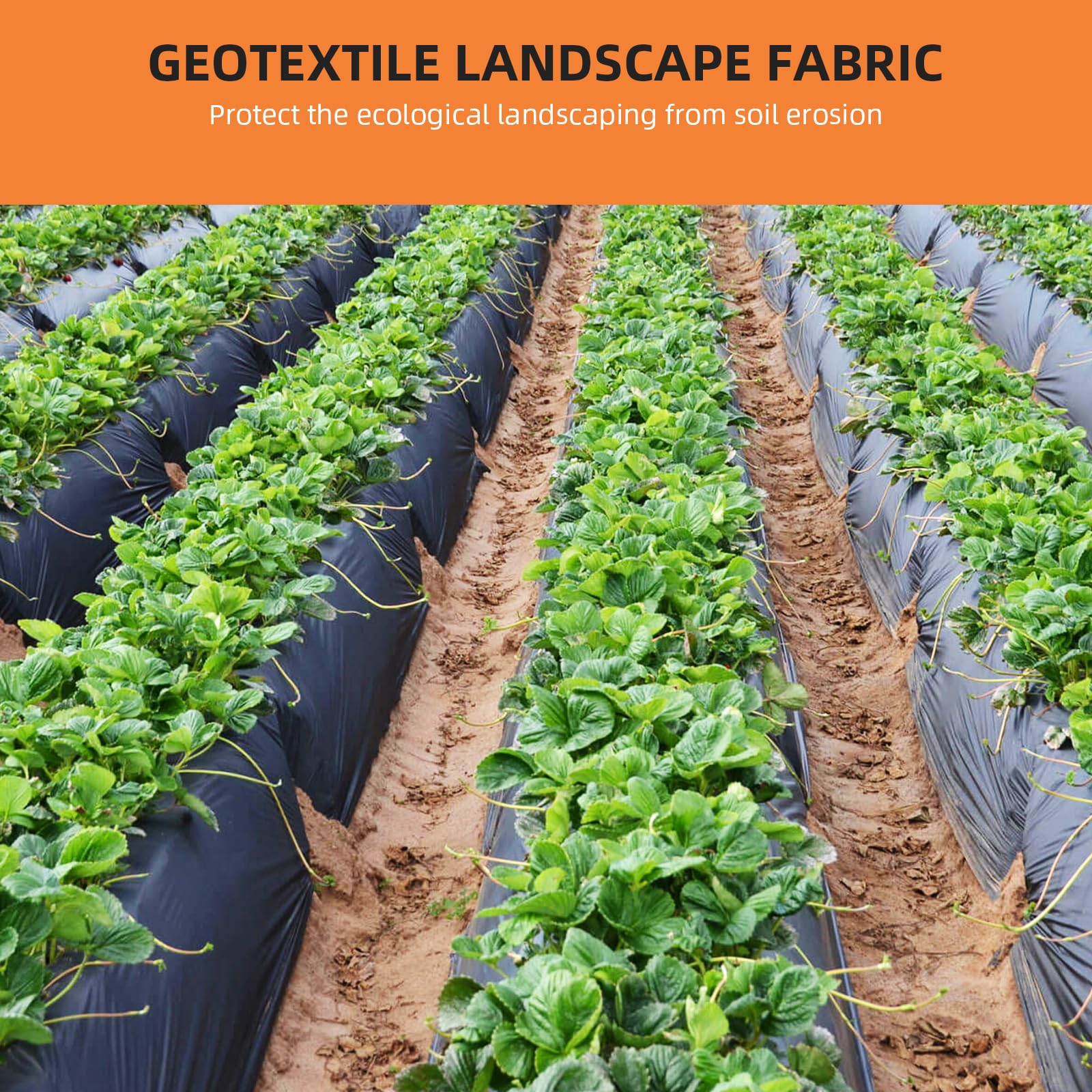 Snapklik.com : Geotextile Landscape, 6ft X 300ft & 6oz Geotextile ...
