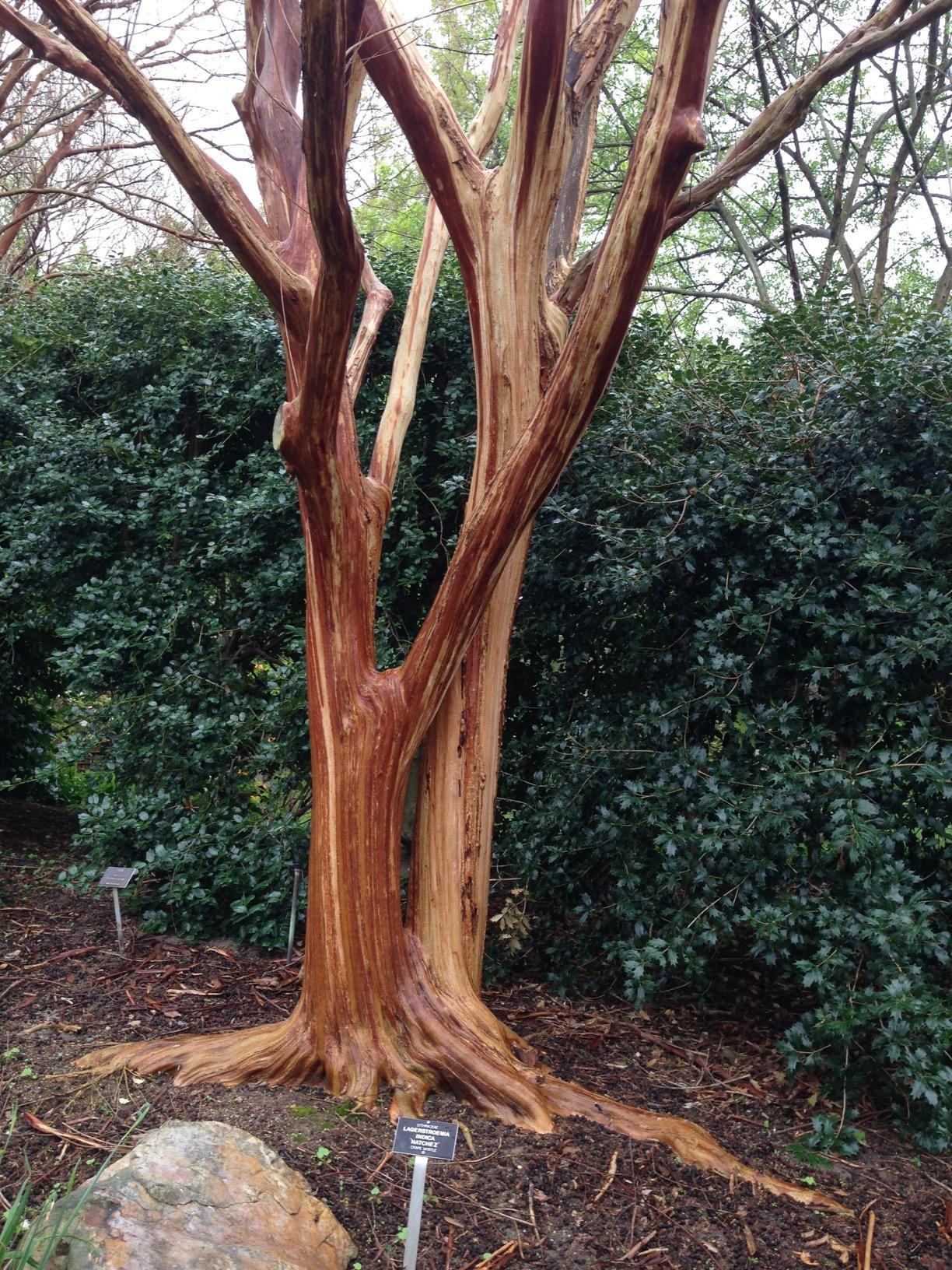 A.S.K. Real World Questions/ Real Word Answers: David Robertson ...