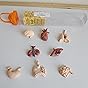 Amazon.com: Safari Ltd. Human Organs TOOB - 8 Mini Figurines Including ...