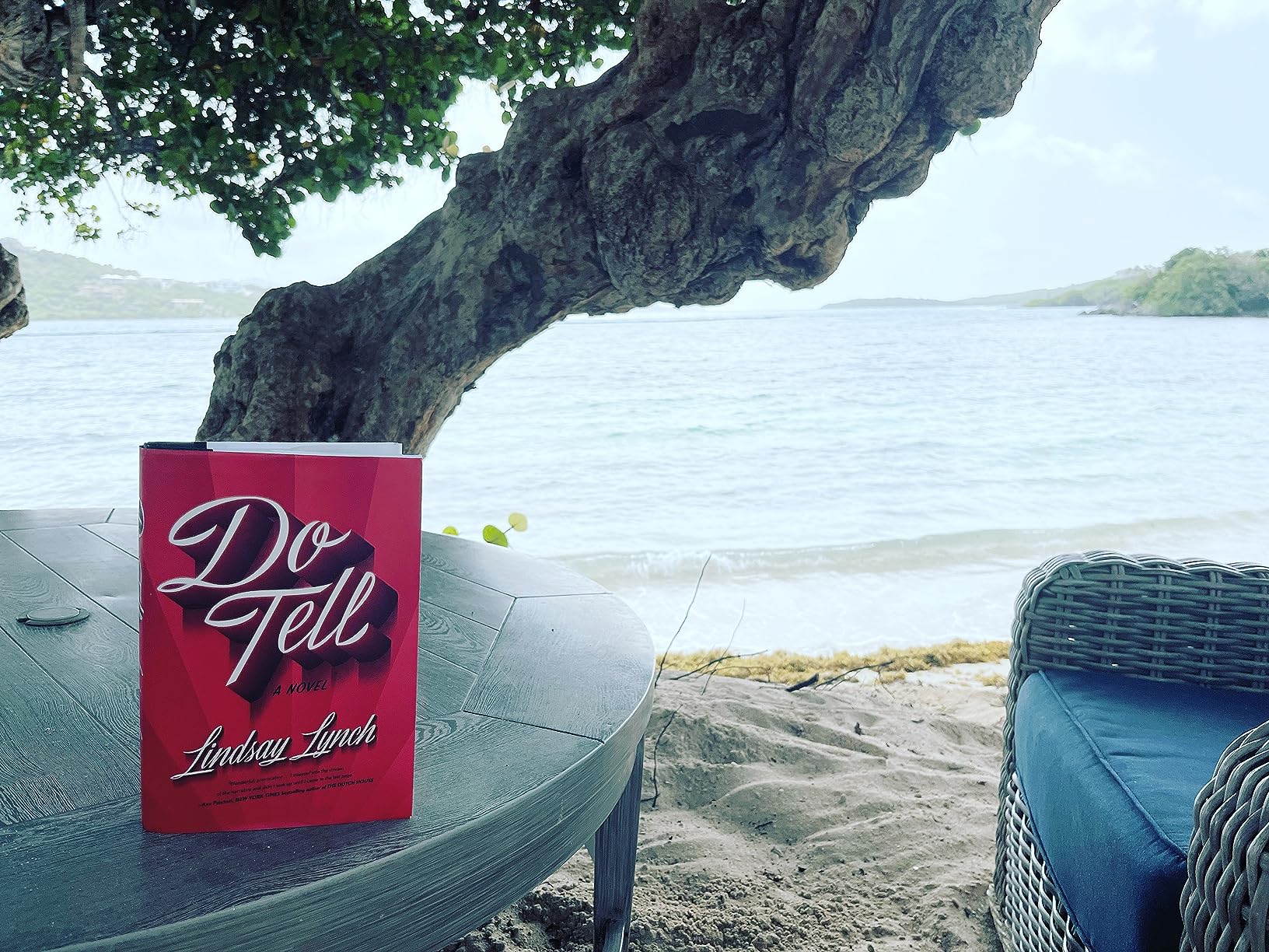 Amazon.com: Do Tell: A Novel: 9780385549370: Lynch, Lindsay: Books