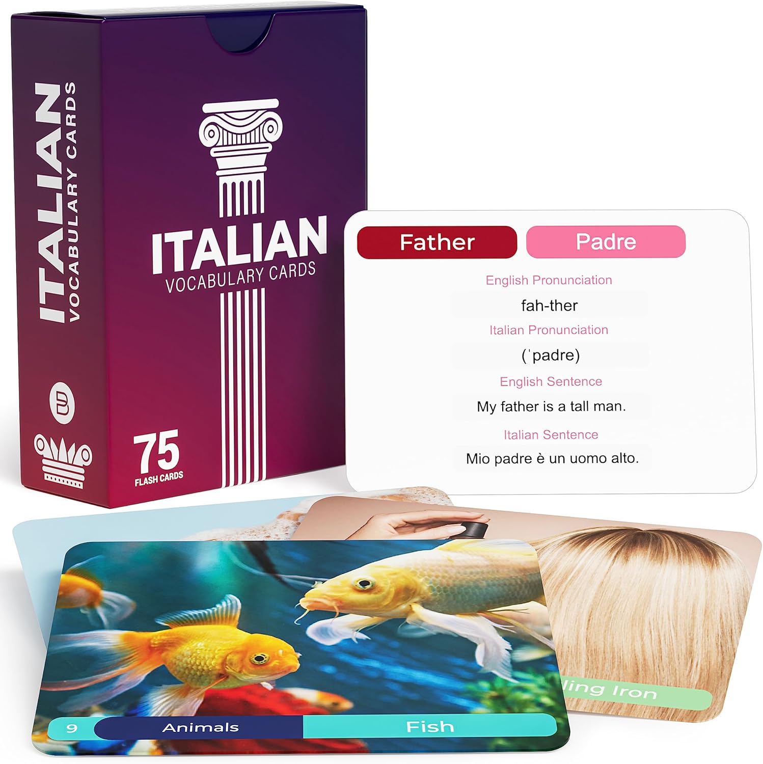 Amazon.com: Italian Vocabulary Flash Cards - 75 Beginner Vocab with ...