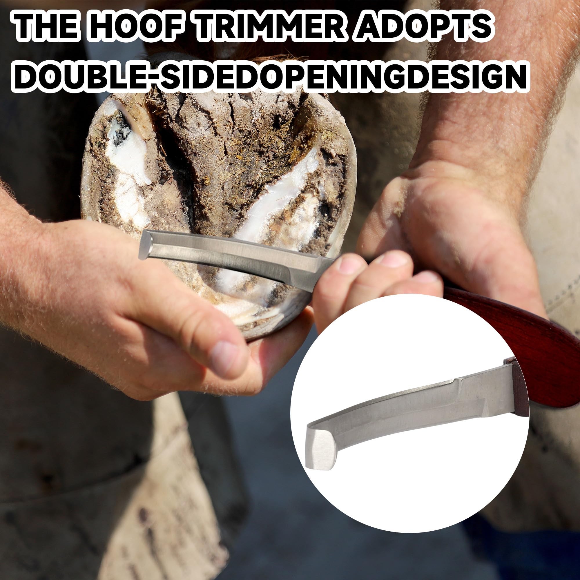 Snapklik.com : AIWFL 8pcs Farrier Tools Kit Hoof Nipper Horse Hoof ...