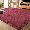 Amazon.com: Zedrew Burgundy Red Area Rug 6x9 Large Rugs for Living Room ...