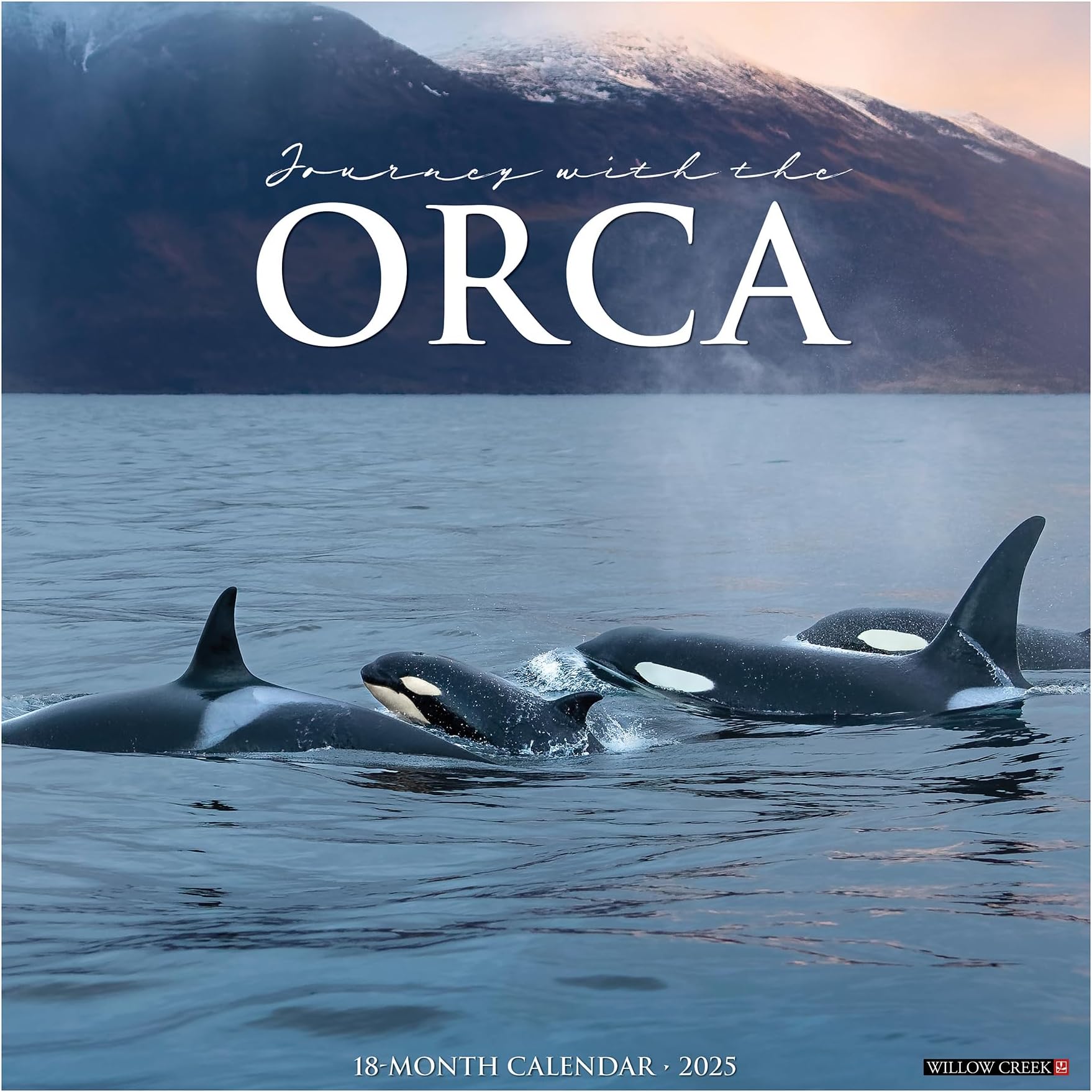 Amazon.com: Willow Creek Press Orca (Journey With the) Monthly 2025 ...