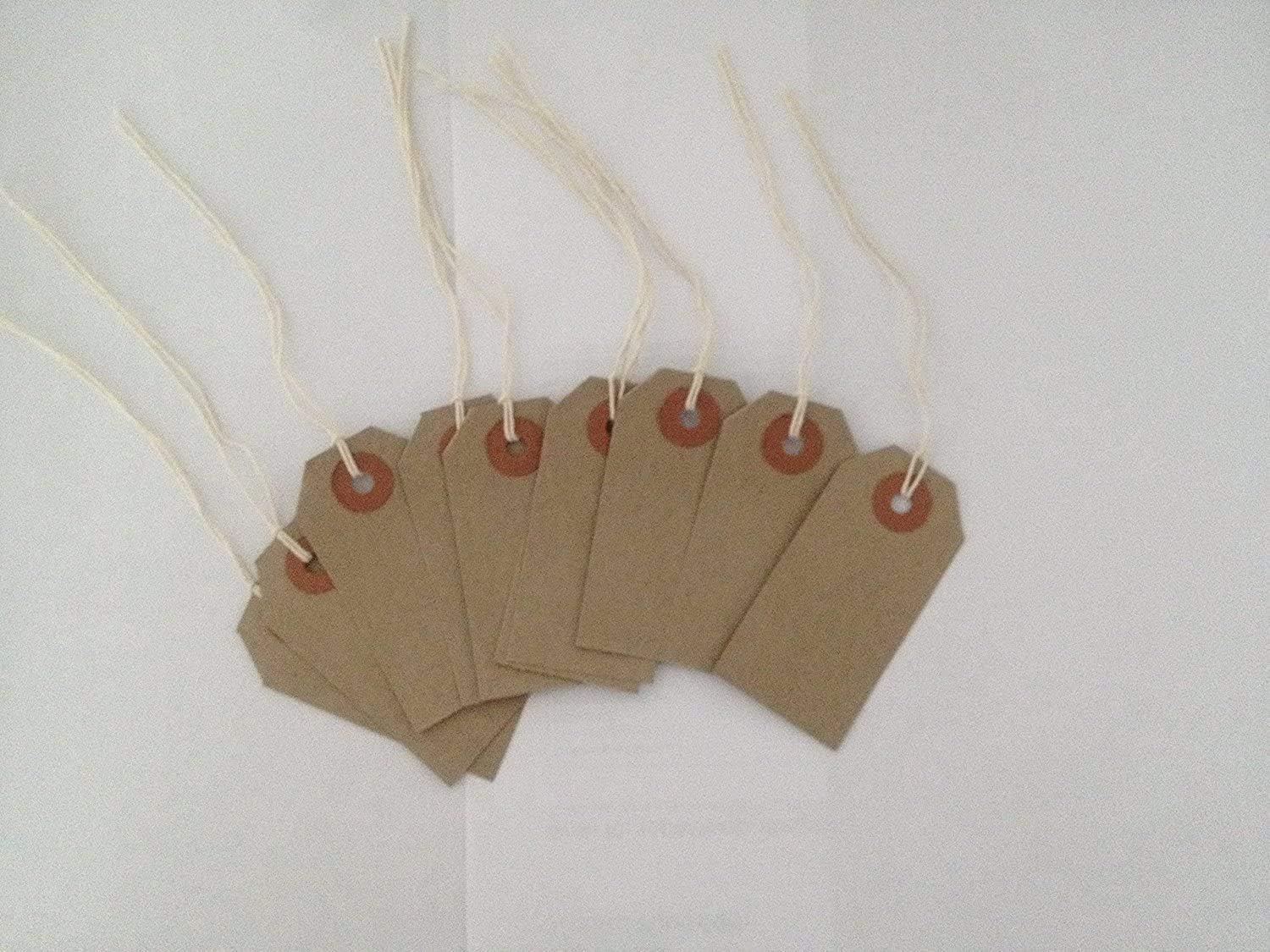 1000 Pack - 96 x 48mm Brown Buff Strung Tags 977298 : Amazon.co.uk ...