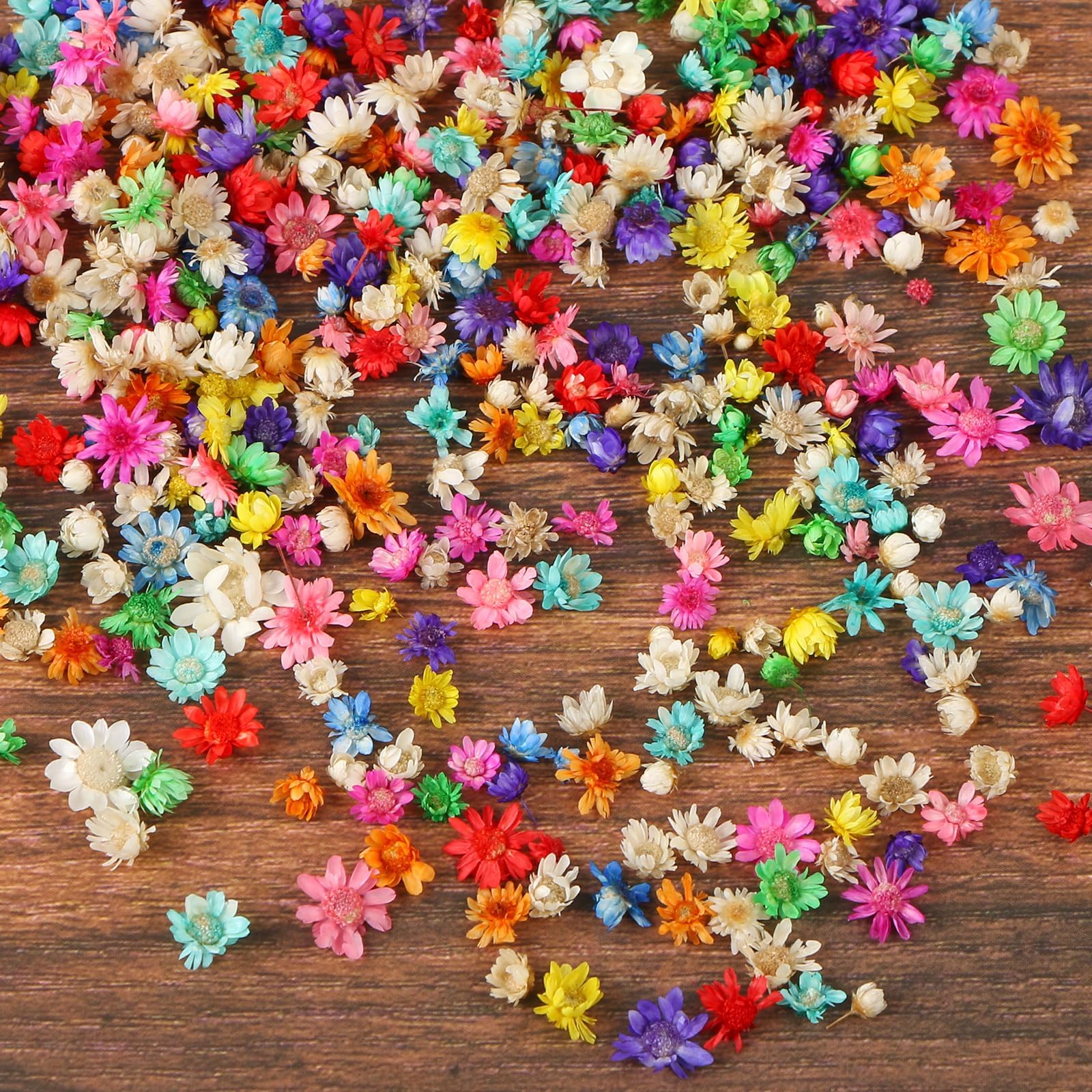 Amazon.com: 900 PCS Small Dried Flowers for Crafts Resin - Tiny Dried ...