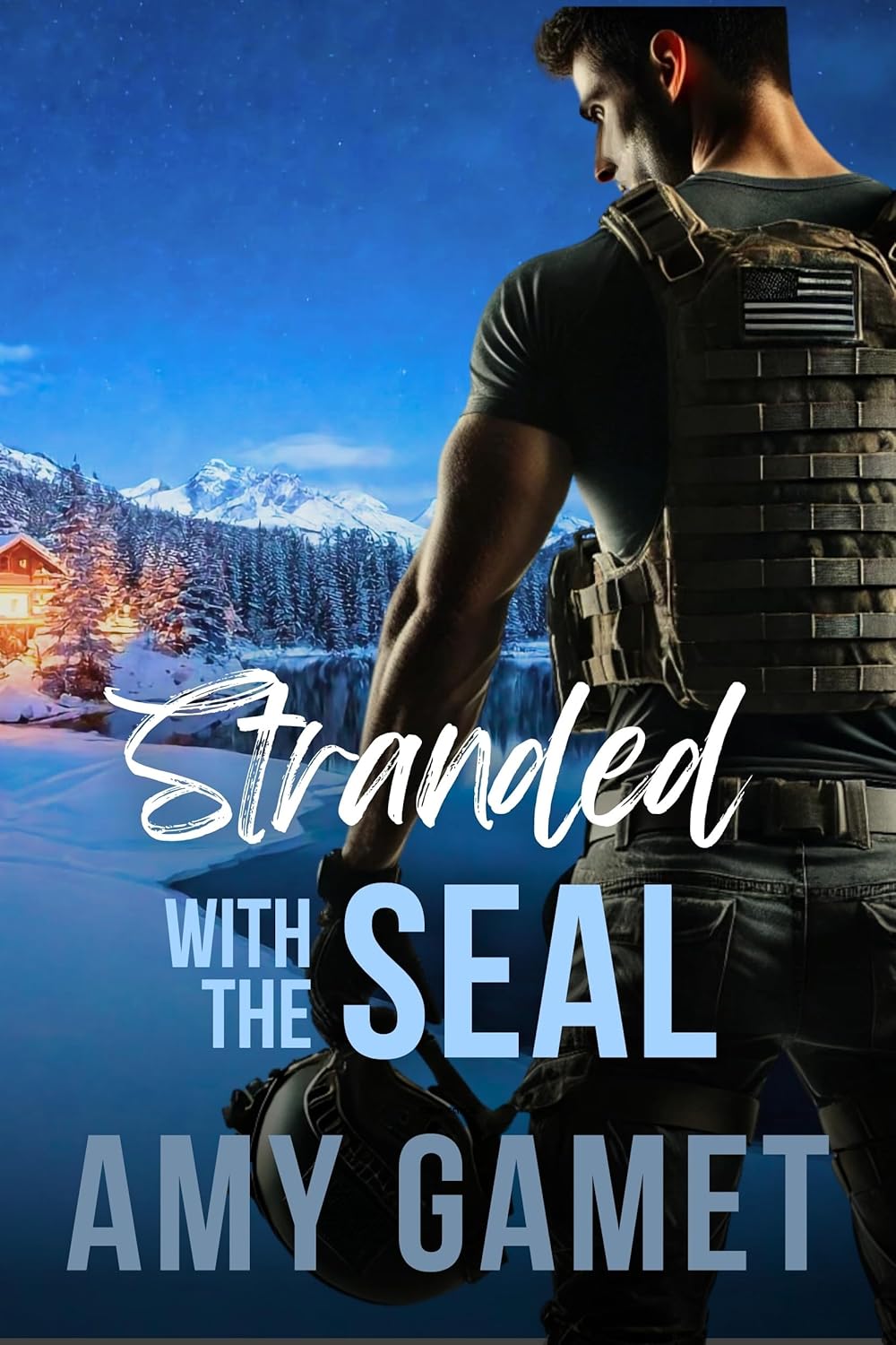 Stranded with the SEAL: A Runaway Bride with Amnesia Military Romance ...
