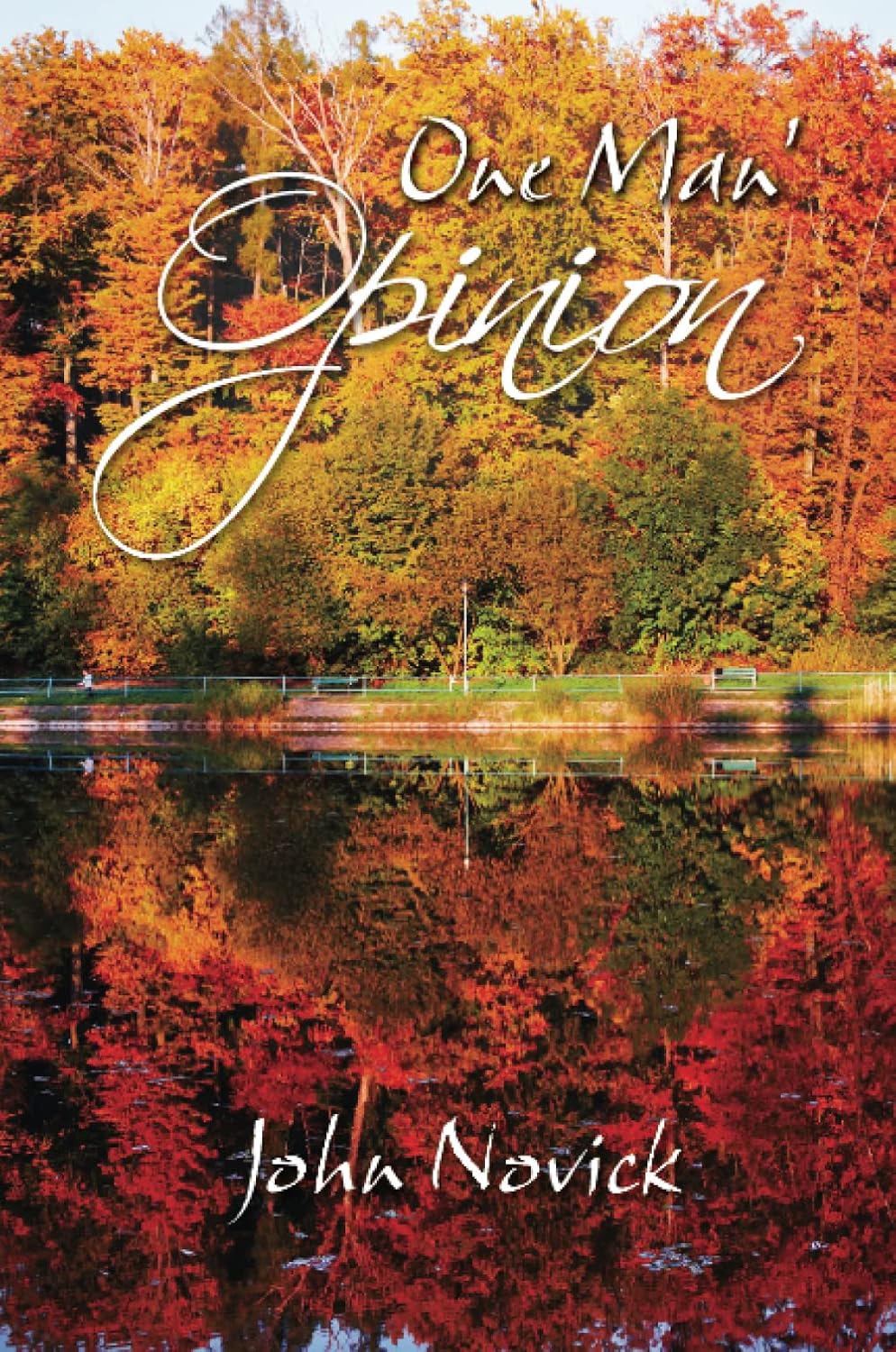 One Man' Opinion: Amazon.co.uk: Novick, John: 9781435794016: Books