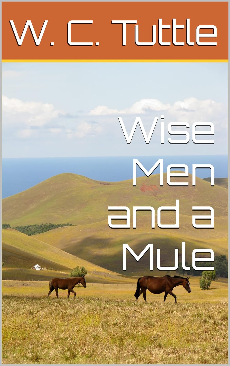 Wise Men and a Mule - Kindle edition by Tuttle, W. C. . Literature ...