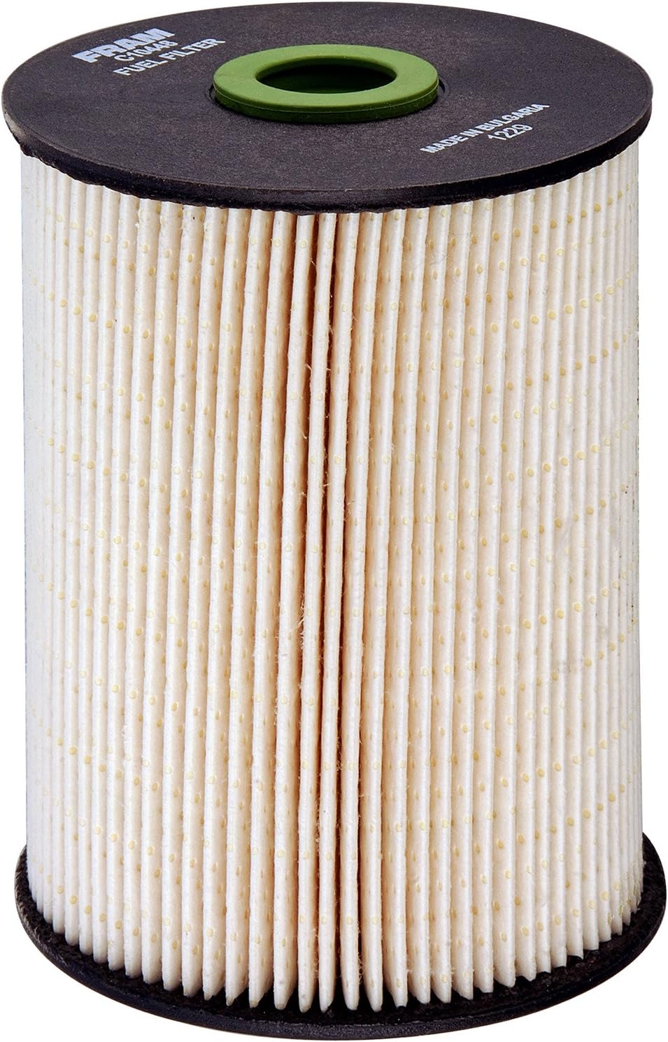 FRAM CG20 Fuel Cartridge Filter, Fuel Filters - Amazon Canada