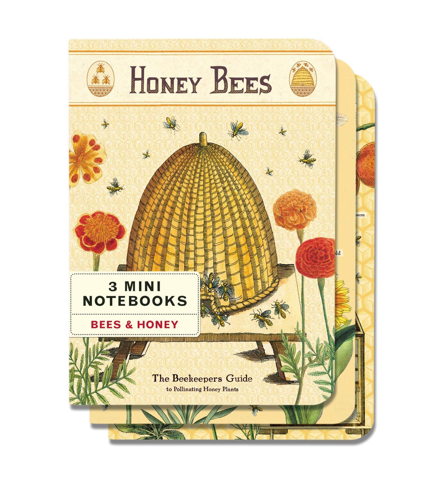 Amazon.com : Bees & Honey Mini Notebooks : Health & Household