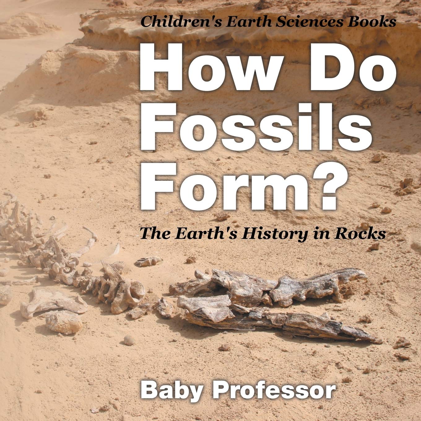 How Do Fossils Form The Earths History In Rocks Childrens | Desertcart ...