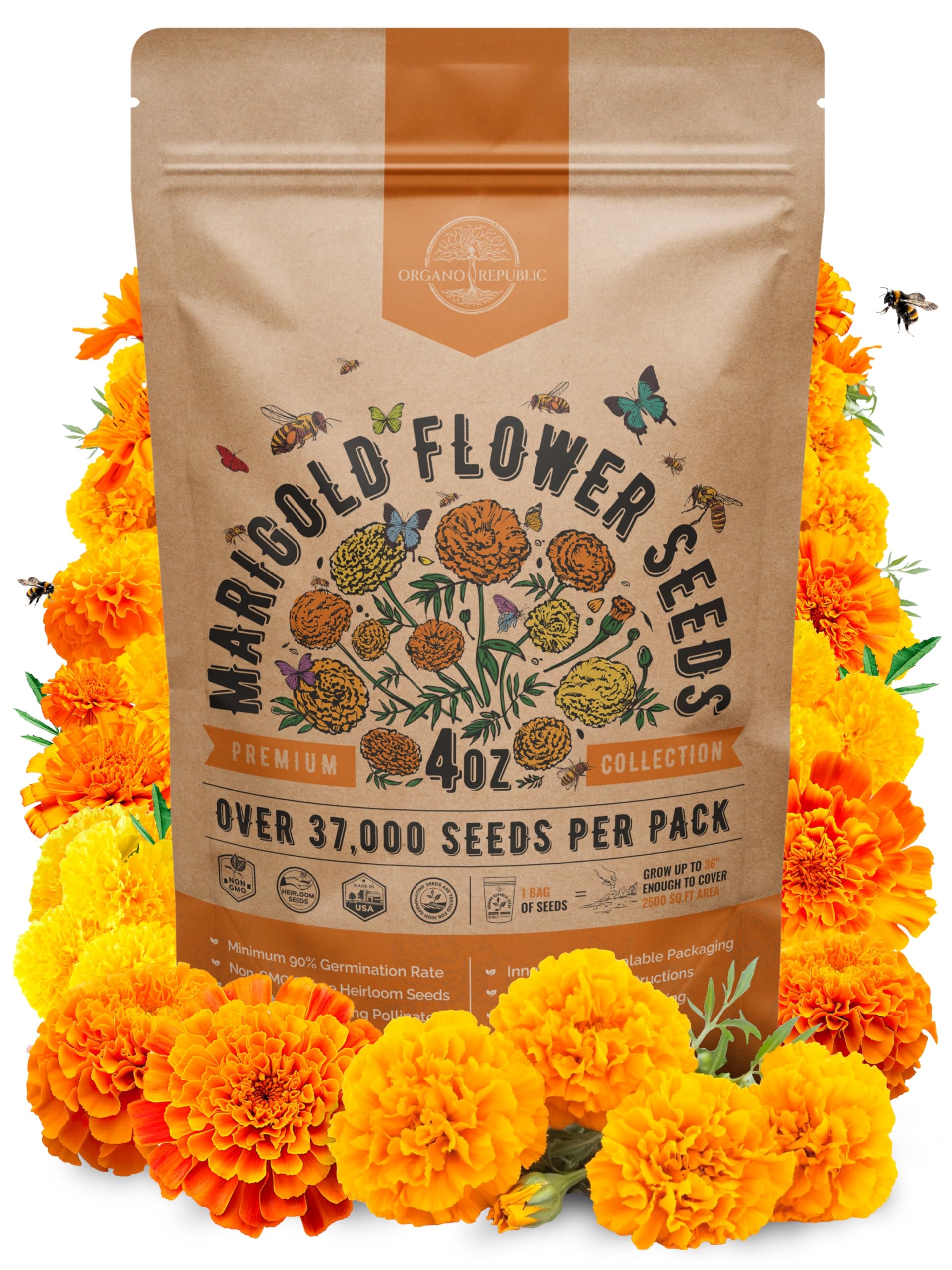 Amazon.com : Marigold Seeds Pack 4 oz - Over 37,000 Non-GMO Heirloom ...