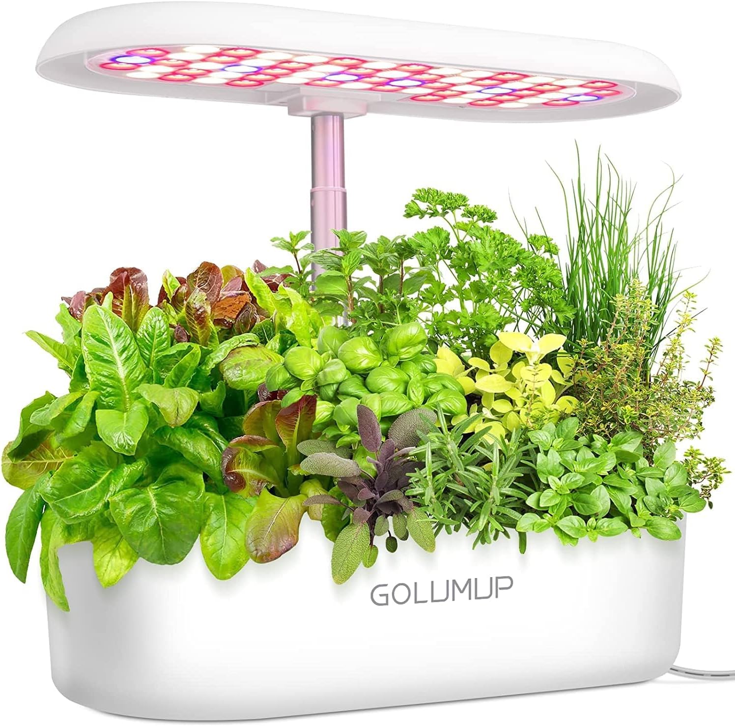 Amazon.com: GOLUMUP Hydroponics Growing System Kit 12 Pods, Indoor Herb ...