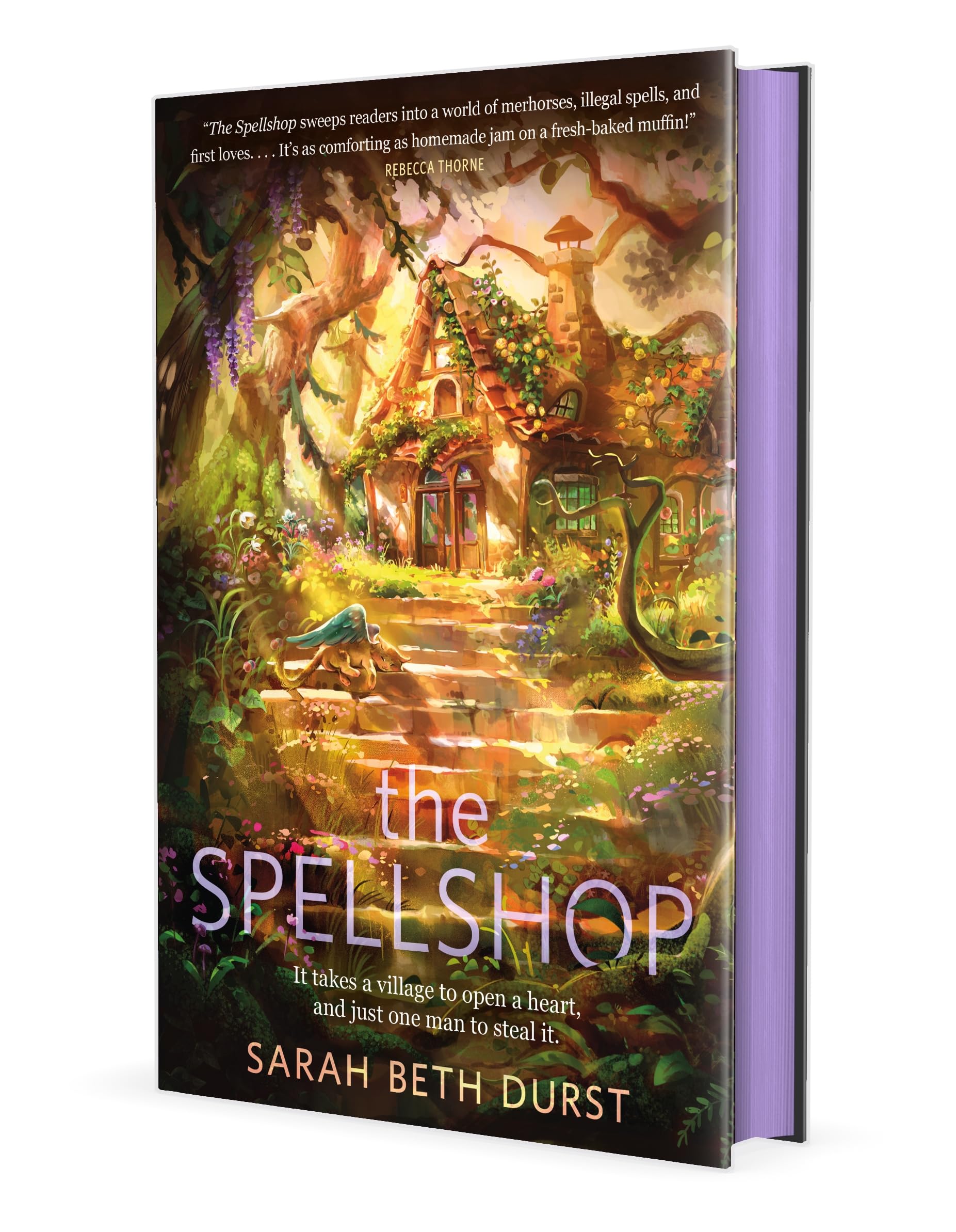 Amazon.com: The Spellshop: 9781250333971: Durst, Sarah Beth: Books