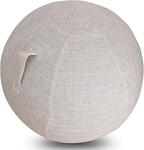 Amazon.com : AOLIAZMAX Exercise Ball Cover for Pilates Ball, Yoga Ball ...