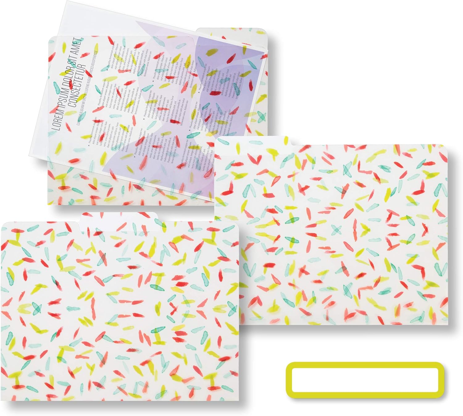 Amazon.com : C.R. Gibson Sprinkle File Folders for Women and Home ...