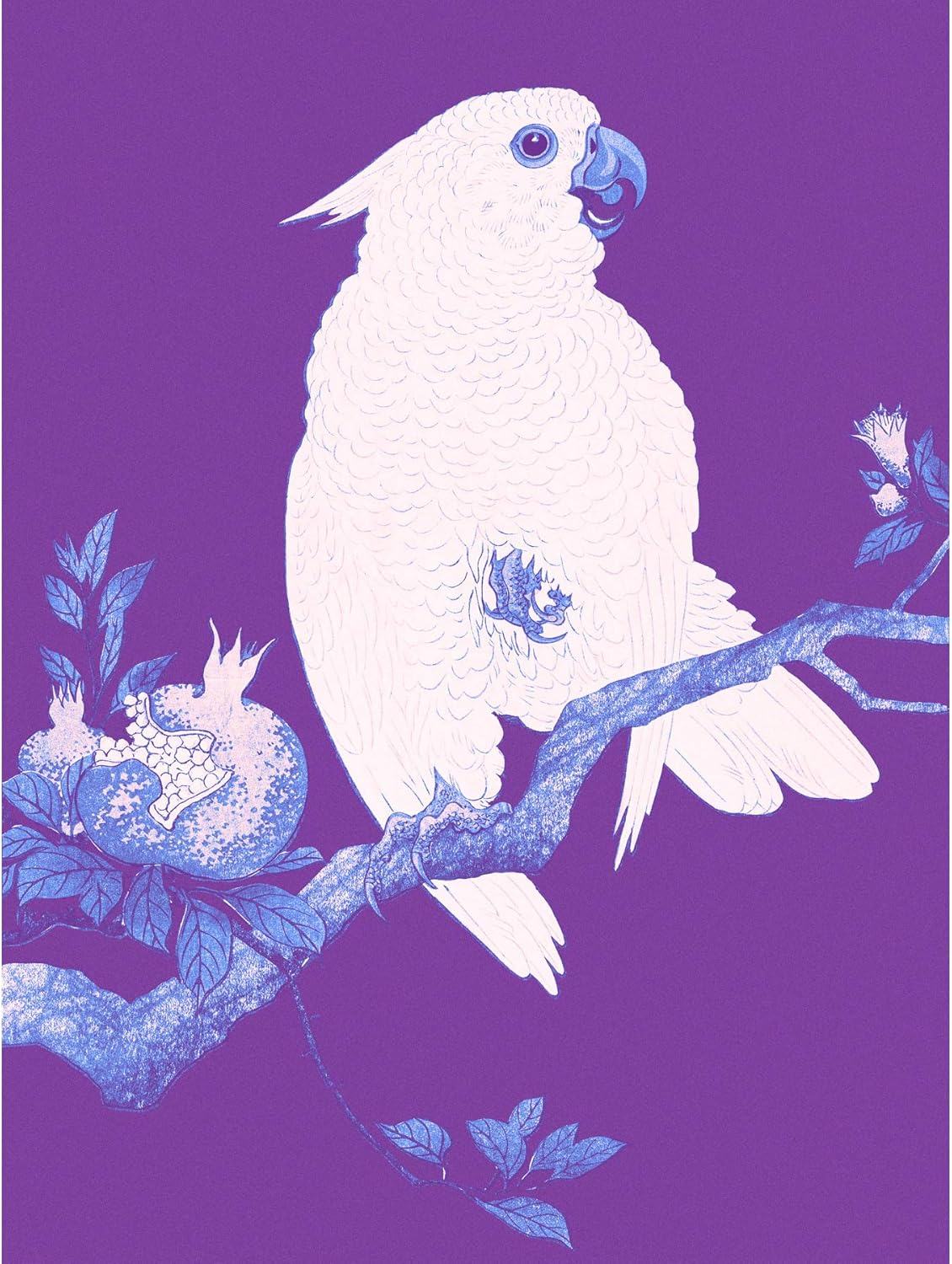 Amazon.com: Purple Cockatoo By Ohara Koson Art Print Poster Wall Decor ...