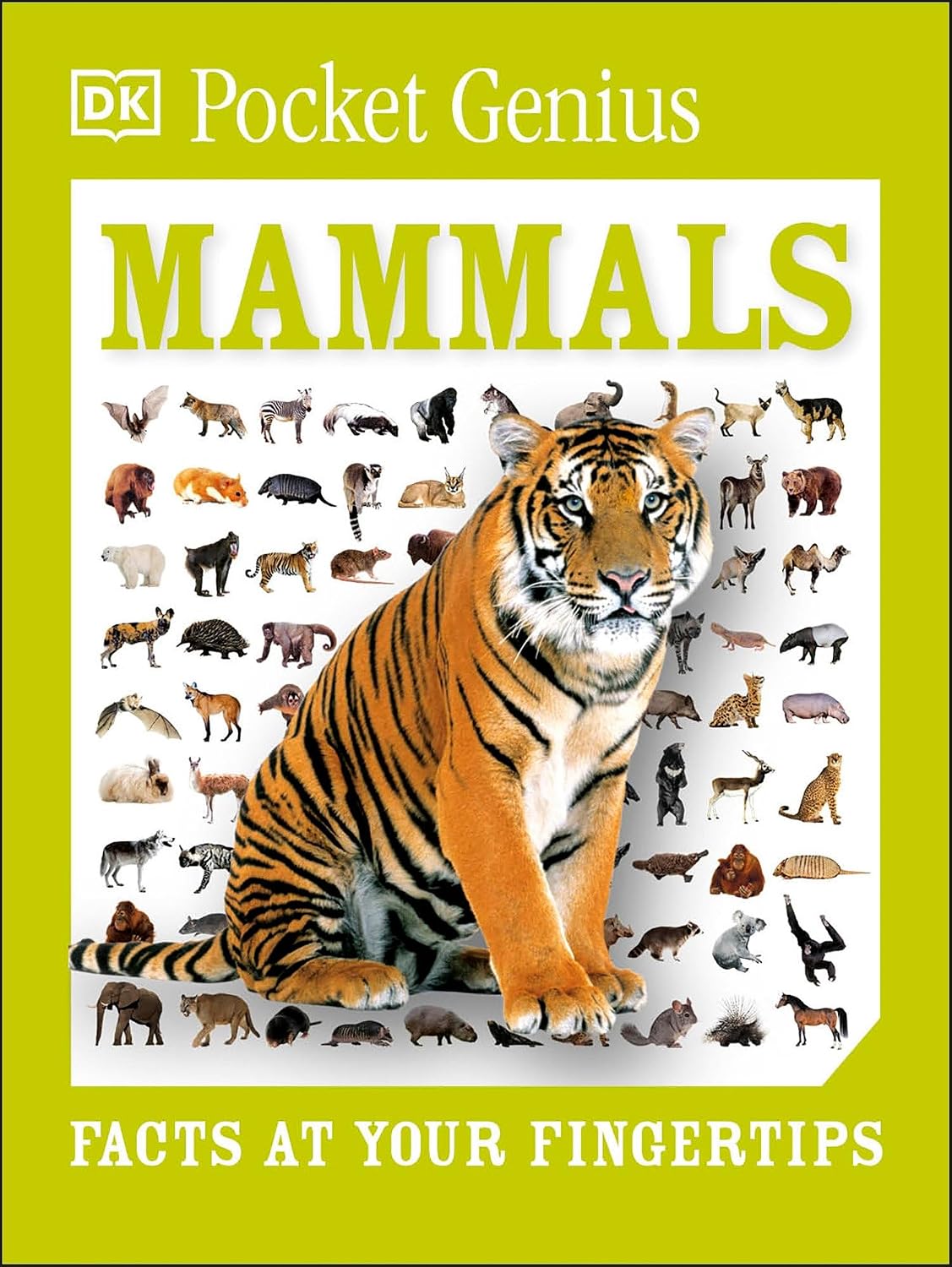 Pocket Genius: Mammals: Facts at Your Fingertips: DK: 9781465445896 ...