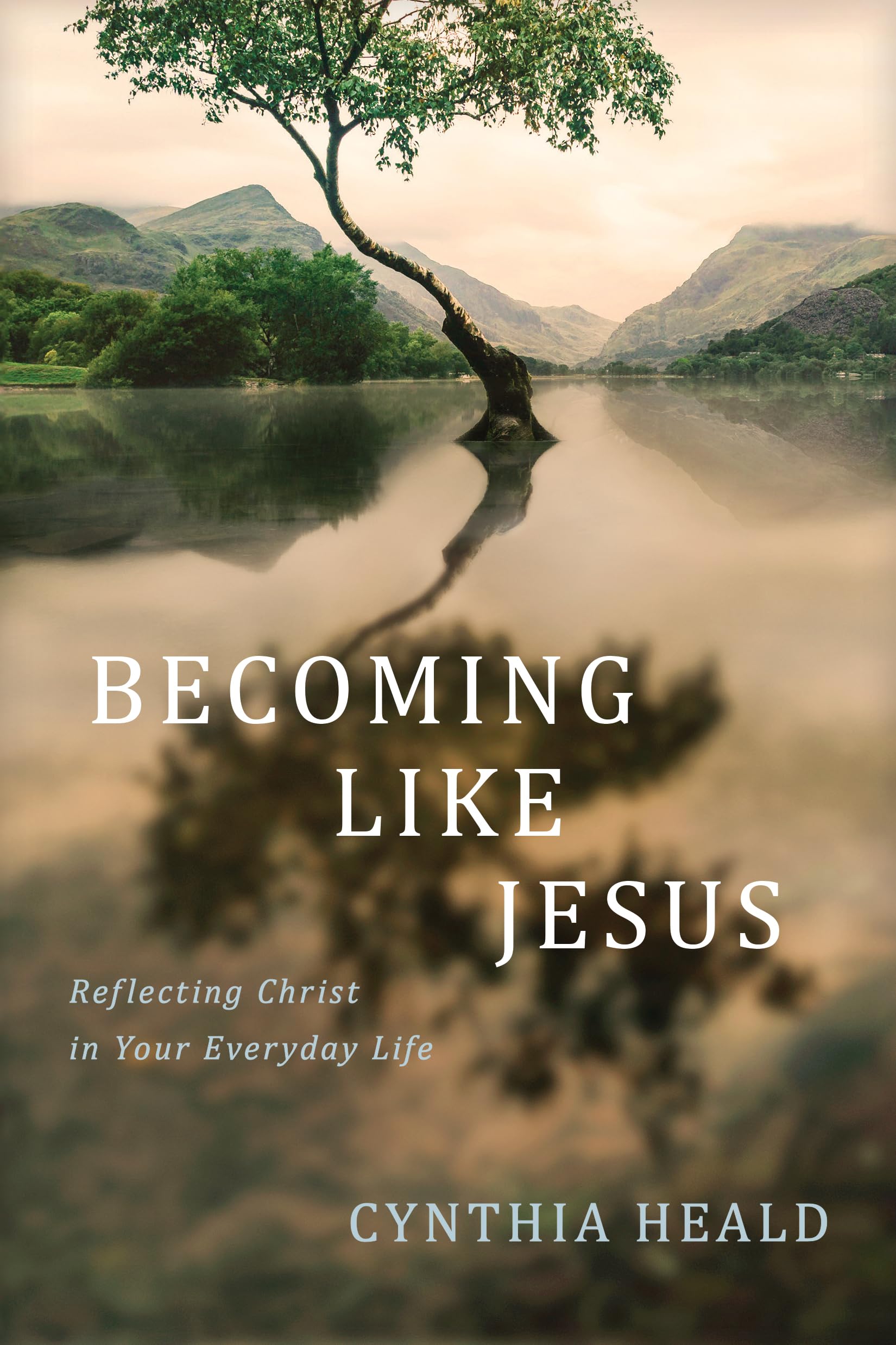 Becoming like Jesus: Reflecting Christ in Your Everyday Life: Heald ...