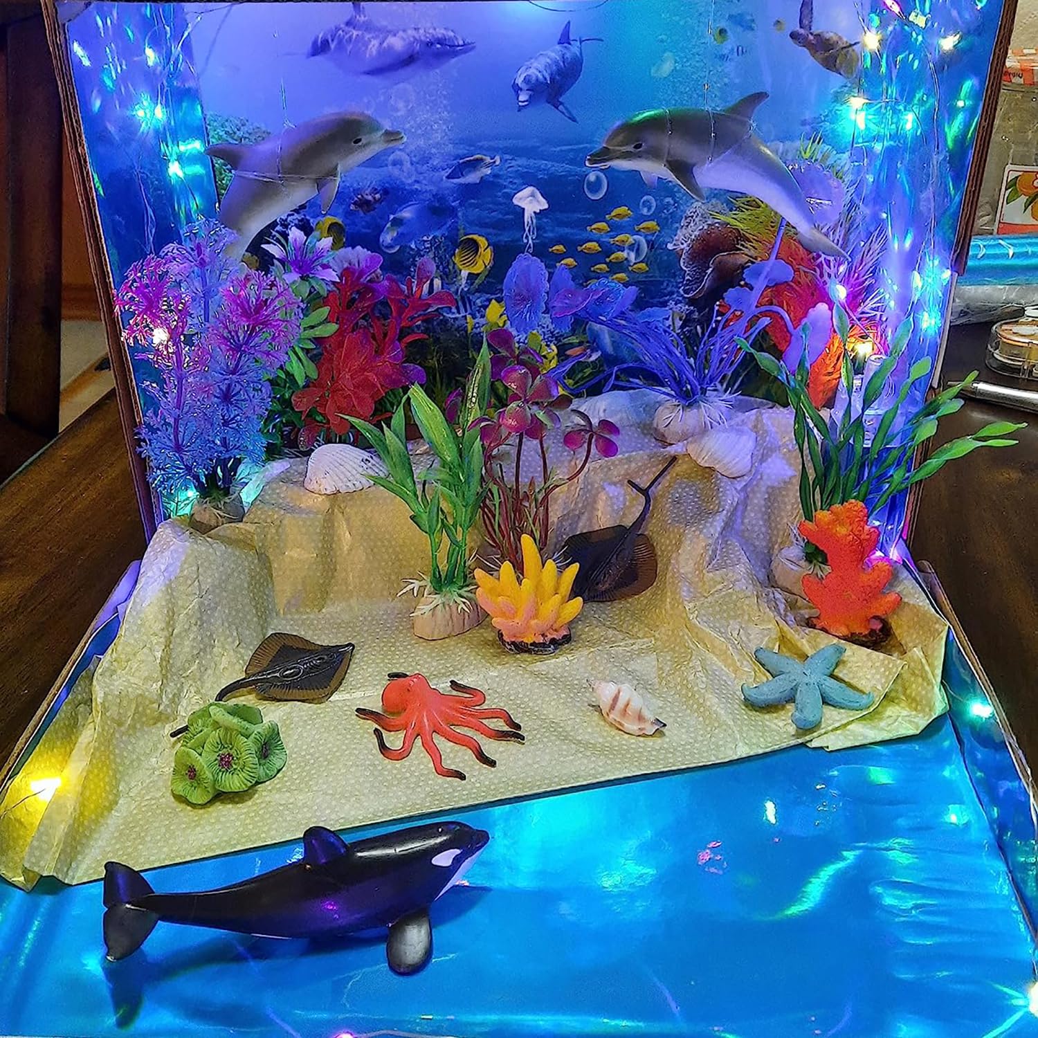 Ocean Ecosystem Diorama Biome Dioramas – With His Grace