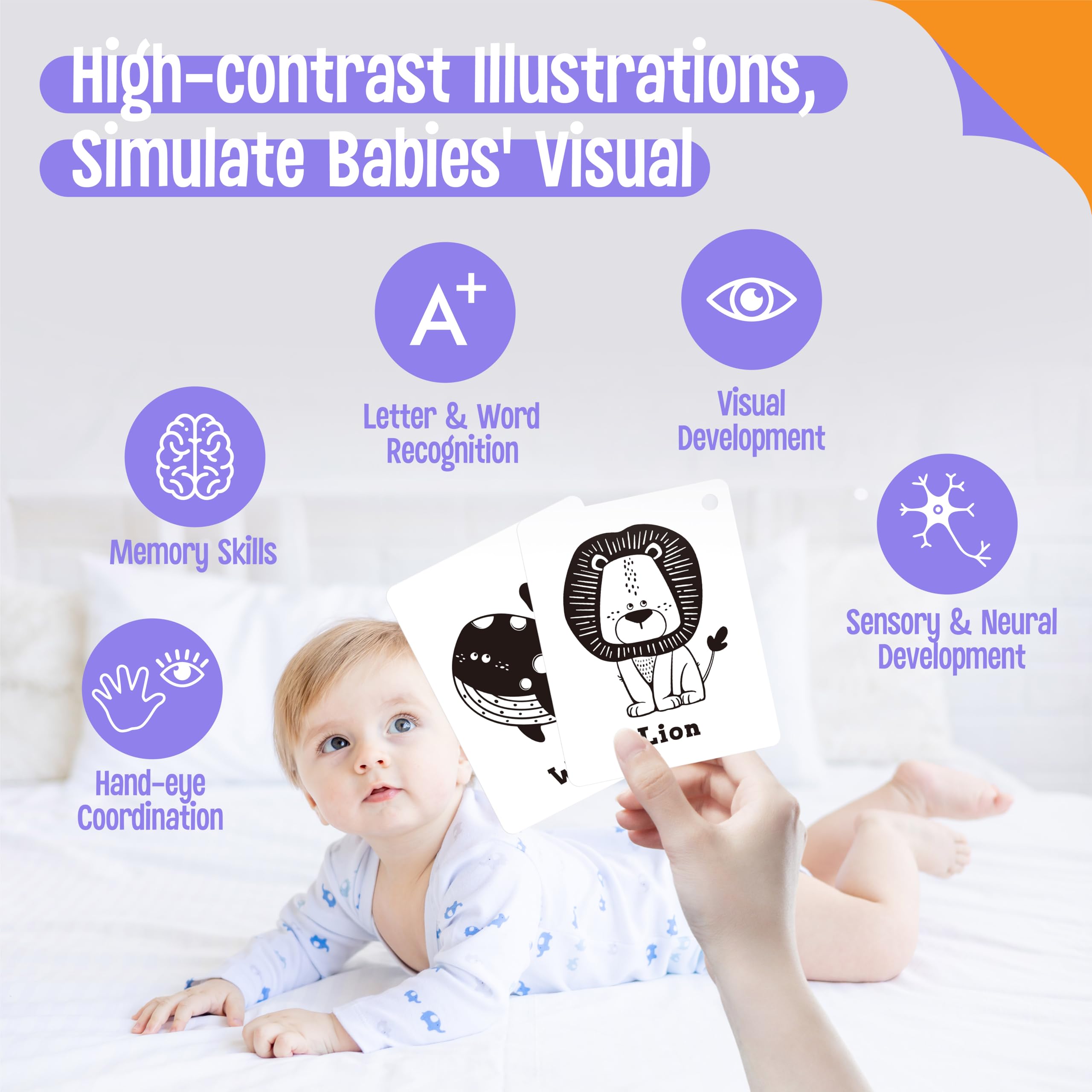 Snapklik.com : 52 PCS Baby Visual Stimulus Cards, Double-Sided High ...