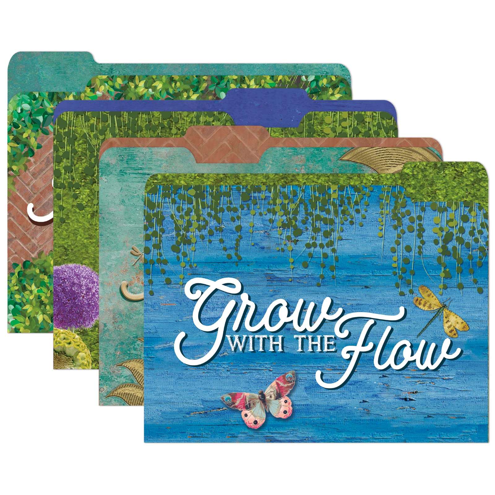 Amazon.com: Eureka Curiosity Garden Student and Teacher File Folders ...