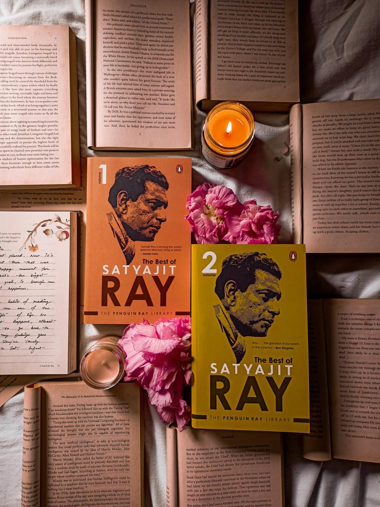The Best of Satyajit Ray (Boxset, Volume 1 & Volume 2): (The Penguin ...