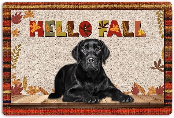 Amazon.com: jccbda Door Mat Black Labrador Dog Hello Fall Pumpkin Spice ...