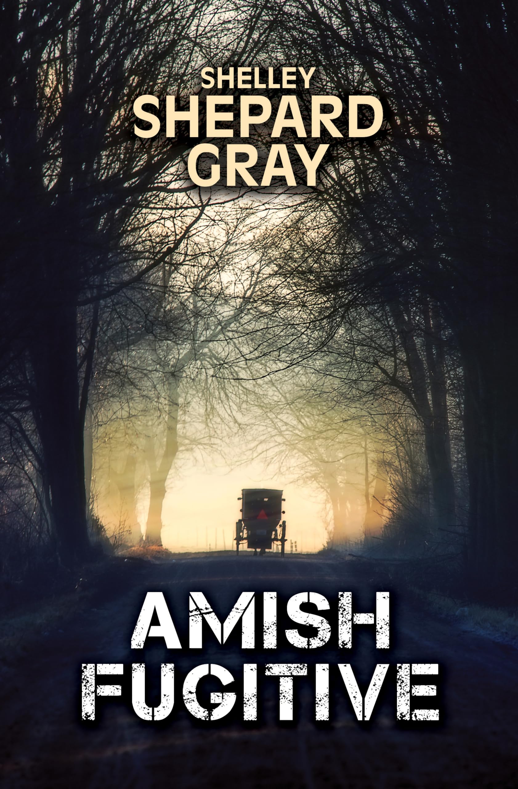 Amish Fugitive: Gray, Shelley Shepard: 9798885788731: Amazon.com: Books