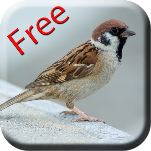 Bird Sounds - App on Amazon Appstore