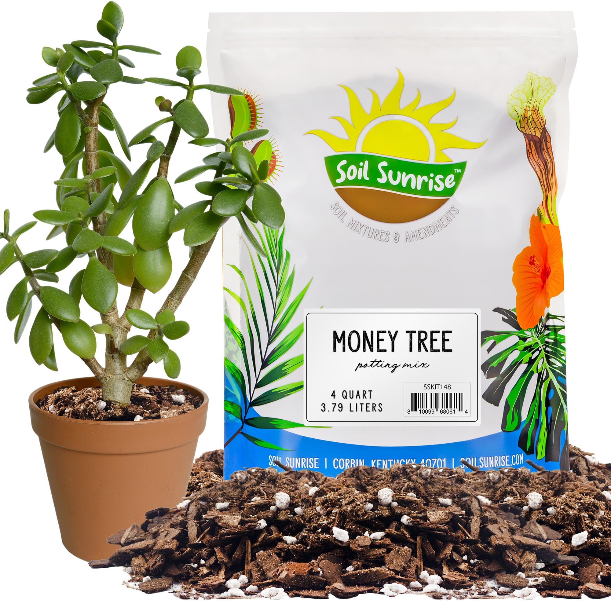 Amazon.com : Money Tree Potting Soil Mix (4 Quarts); Custom Blend for ...