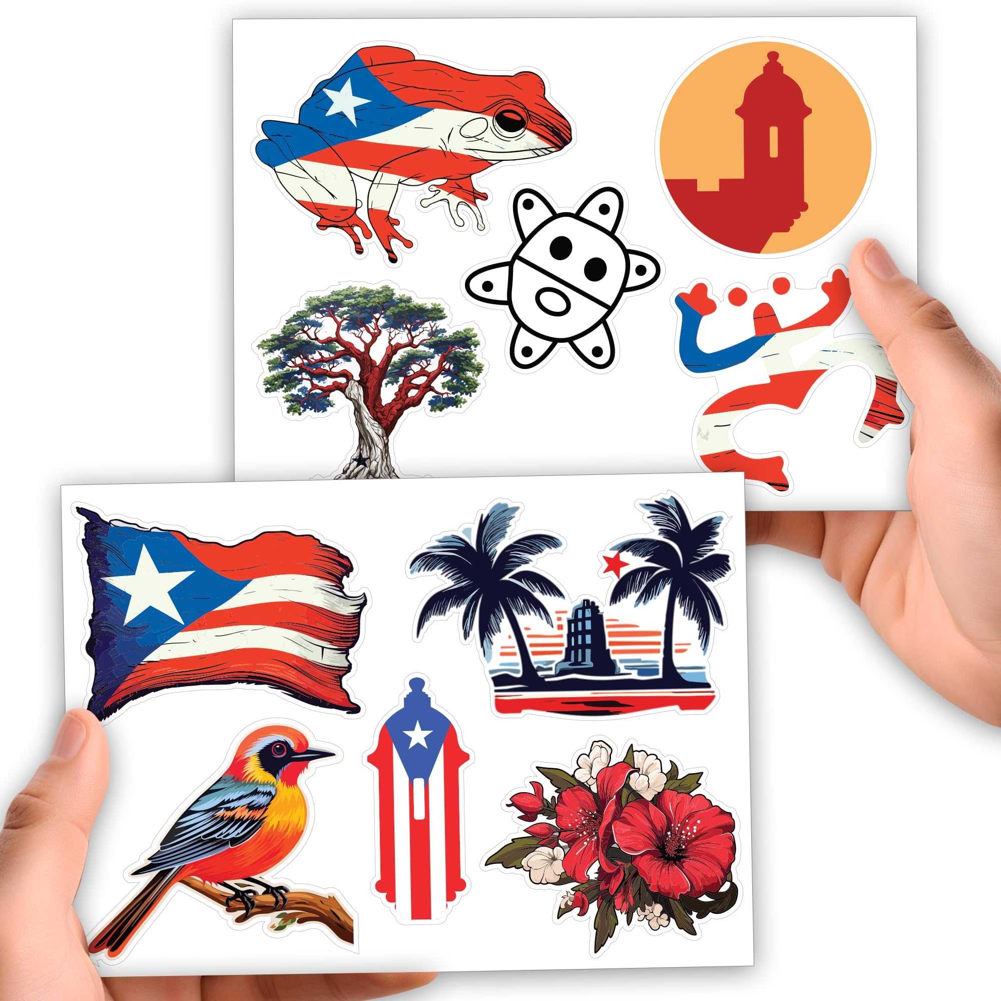 Amazon.com: Puerto Rico Sticker Decal Set for Car Bumper Window Laptop ...