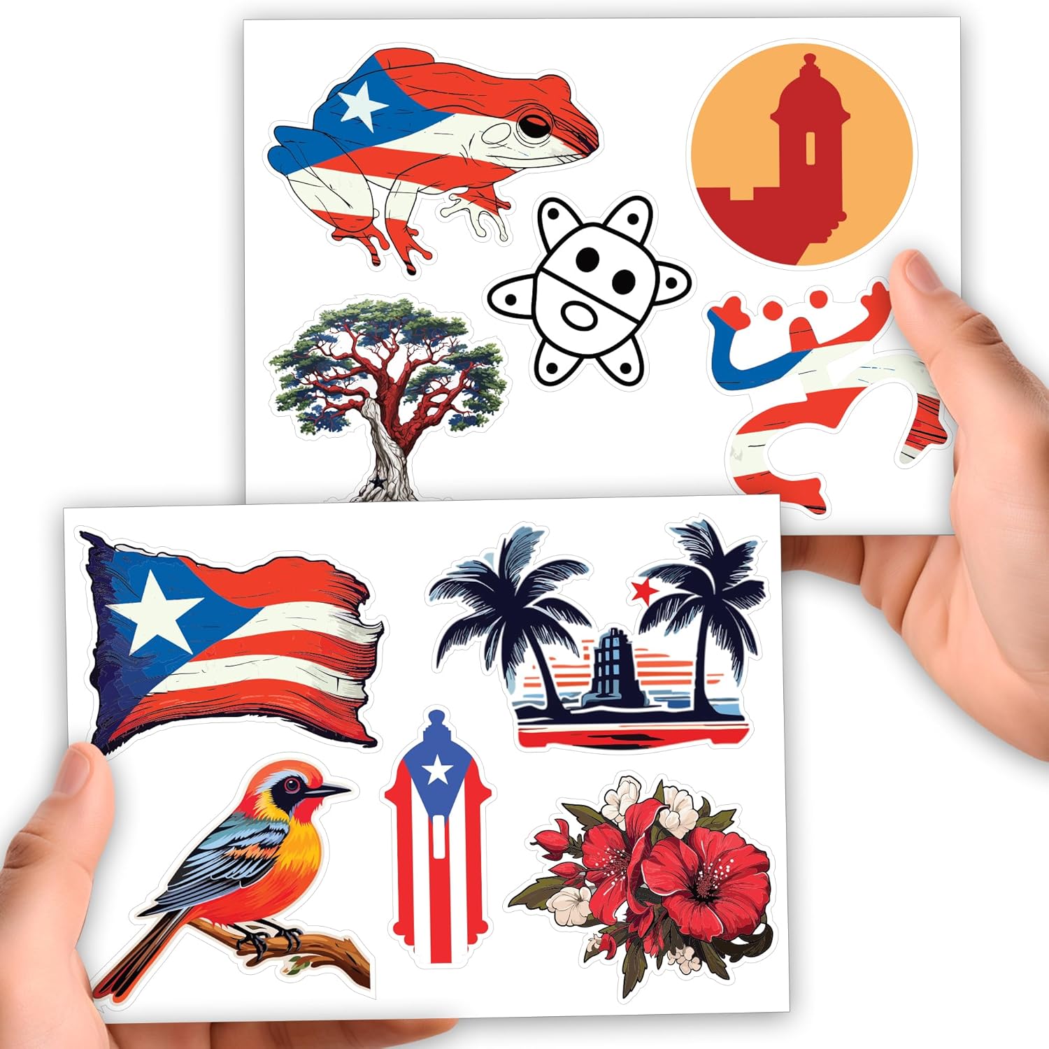 Amazon.com: Puerto Rico Sticker Decal Set for Car Bumper Window Laptop ...