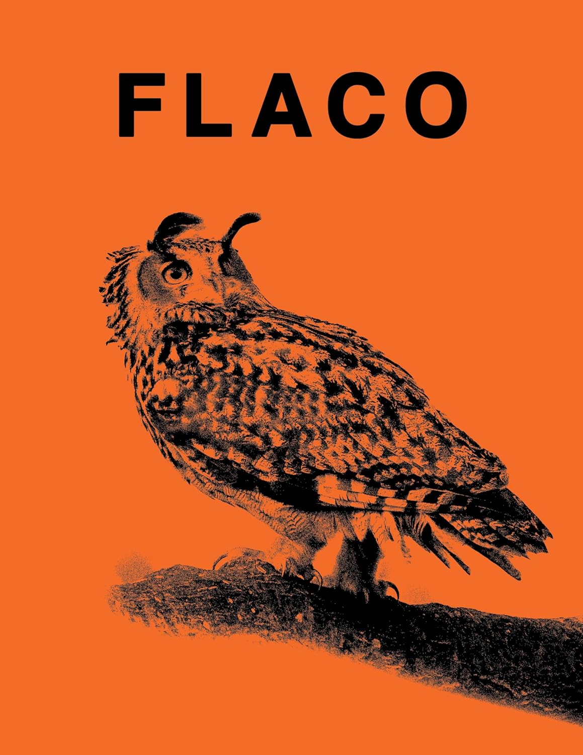 Amazon.com: FLACO: The Owl Who Escaped Captivity and Won the Hearts of ...