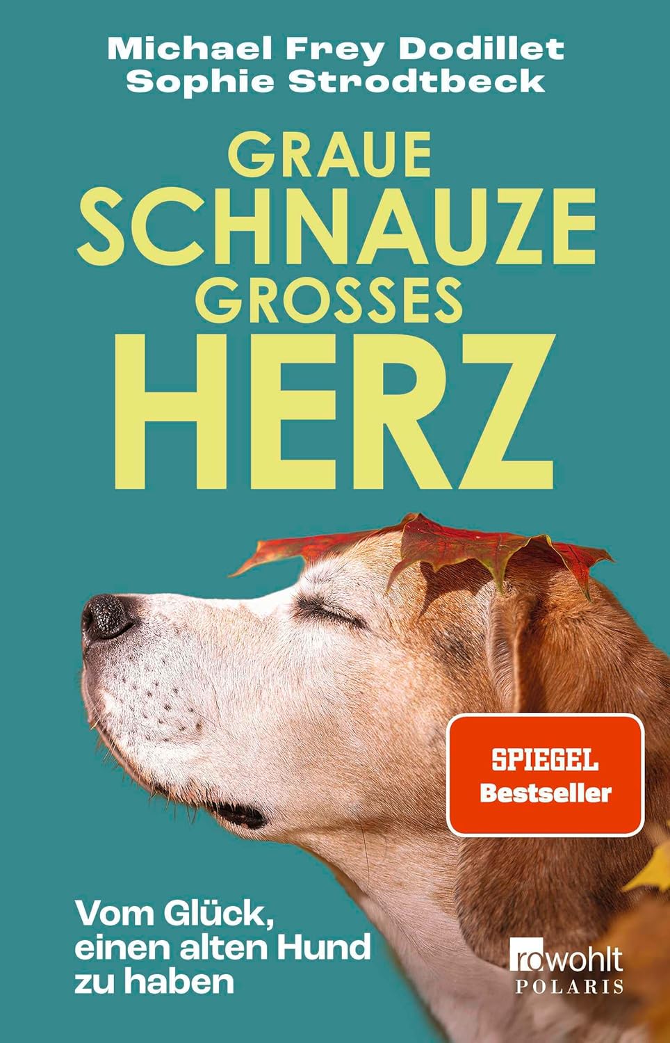 Graue Schnauze, großes Herz: Vom Glück, einen alten Hund zu haben ...