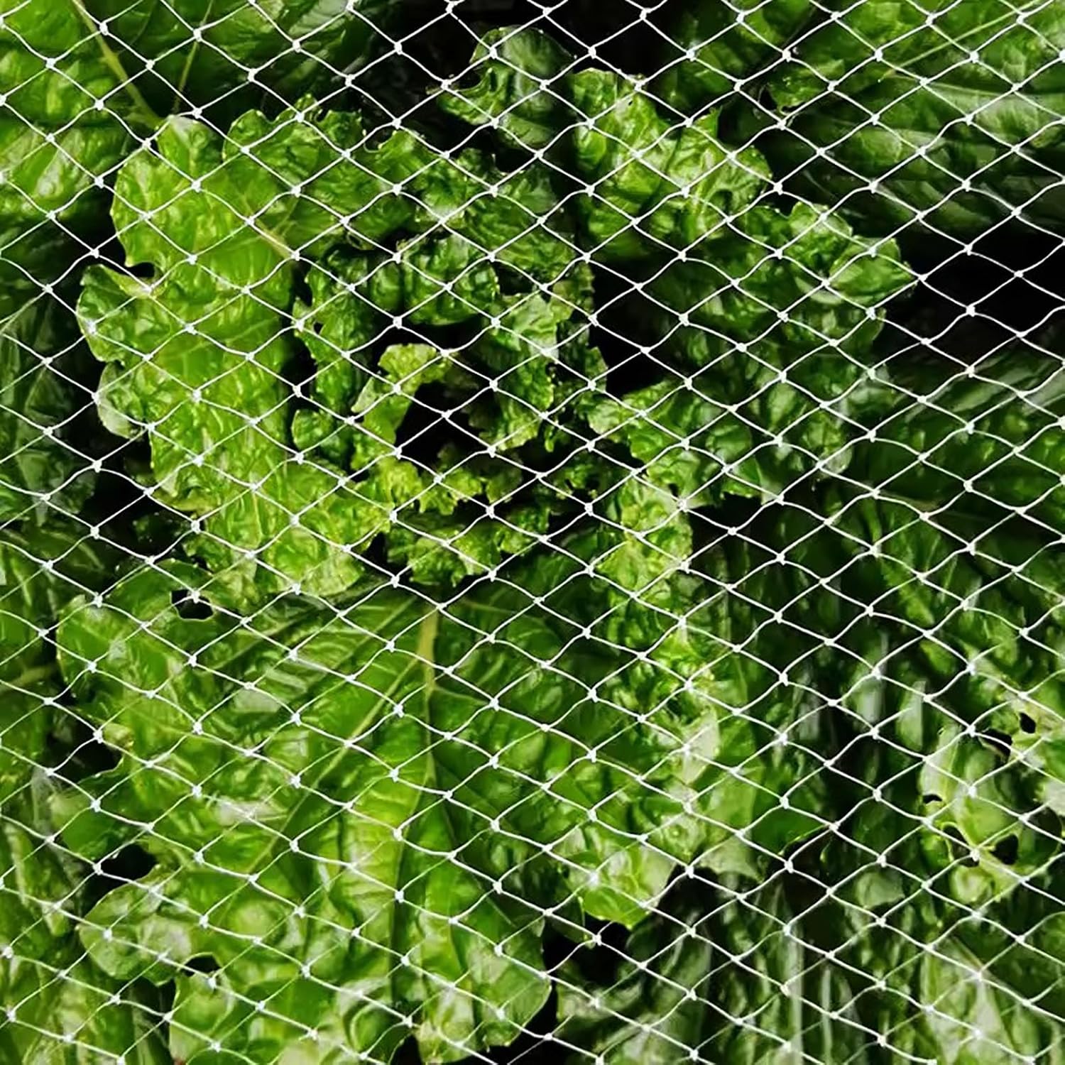 Amazon.com: Oracra Anti Bird Netting Mesh - 6.6ft 10ft 13ft 20ft 26ft ...