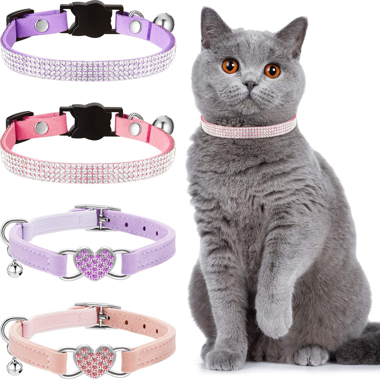 Pet Supplies : Coastal Pet Safe Cat Jeweled Buckle Adjustable Breakaway ...