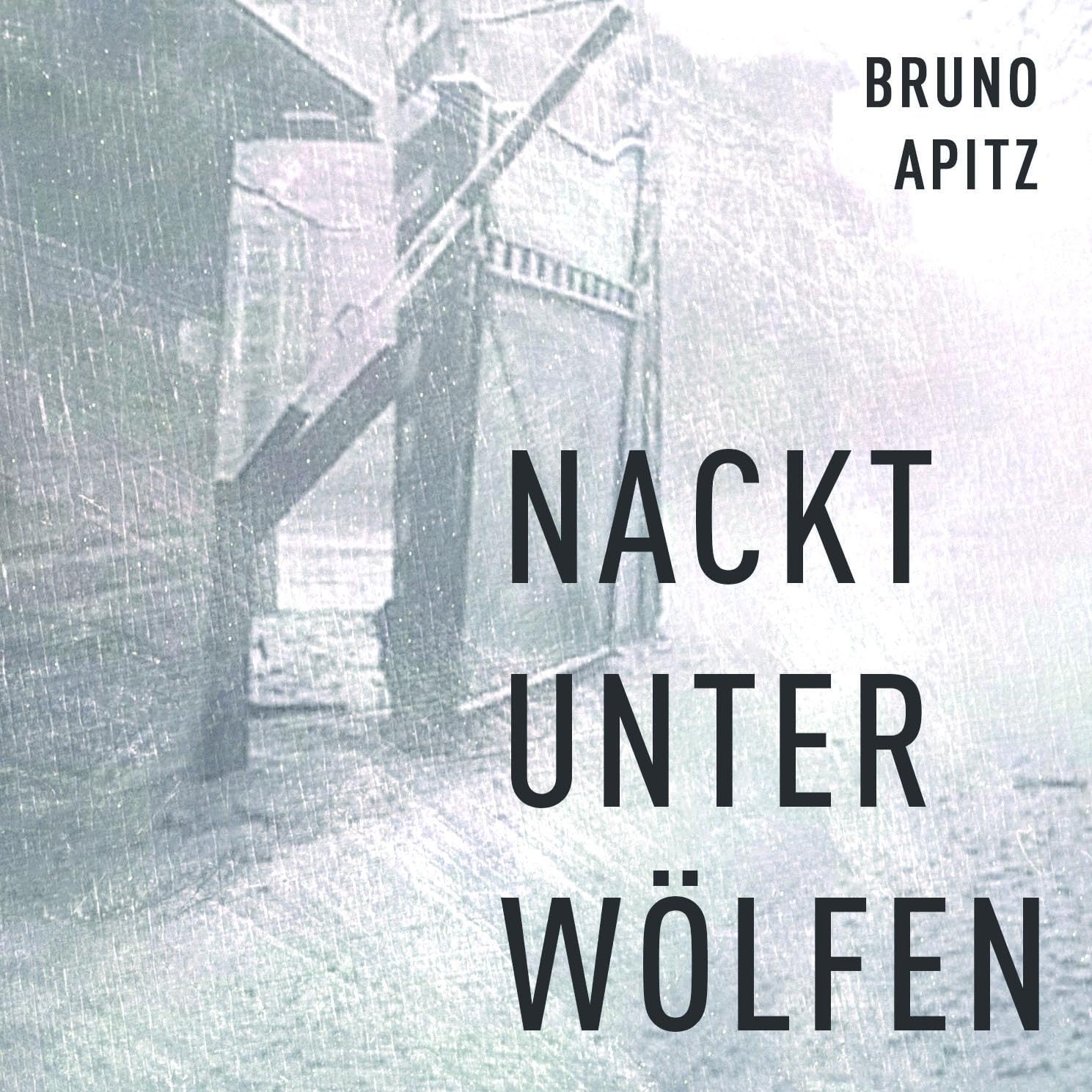 Amazon.com: Nackt unter Wölfen: 9783863525200: Bruno Apitz: Everything Else