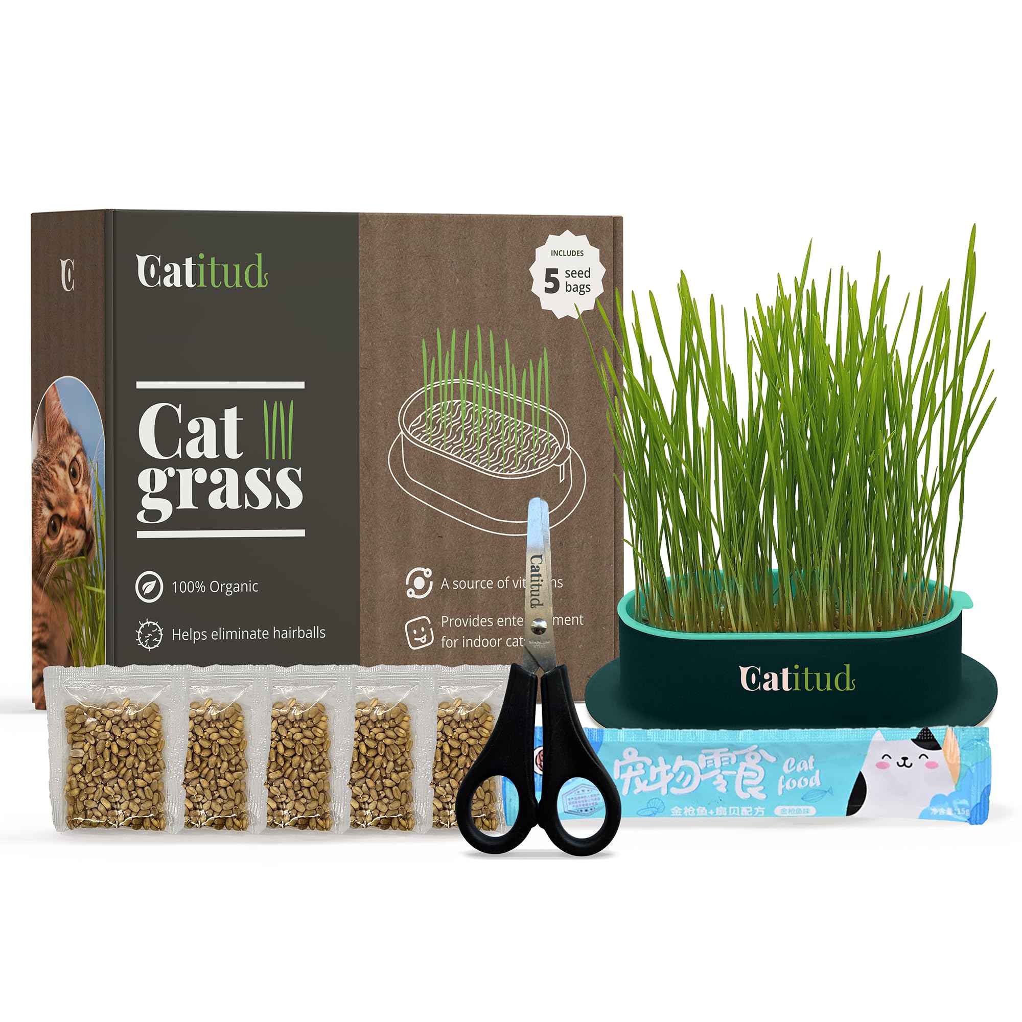 Amazon.com : CATITUD | Cat Grass Growing Kit with 5 Packets HYDROPONIC ...
