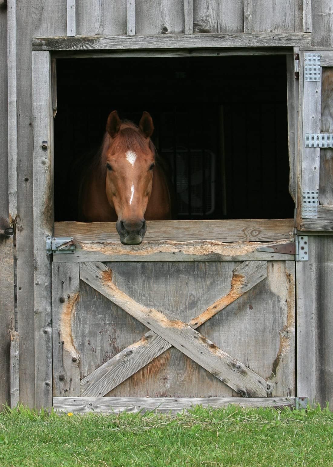 Amazon.com : Laeacco Stable Backdrop 7x5ft Vinyl Photography Background ...