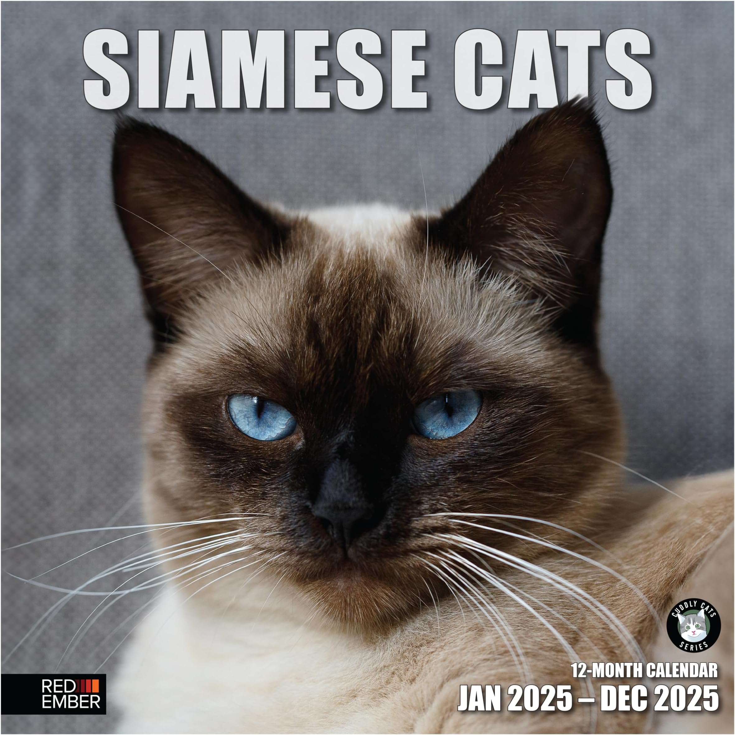 Amazon.com: RED EMBER Siamese Cats 2025 Wall Calendar 12 Month | 12" x ...