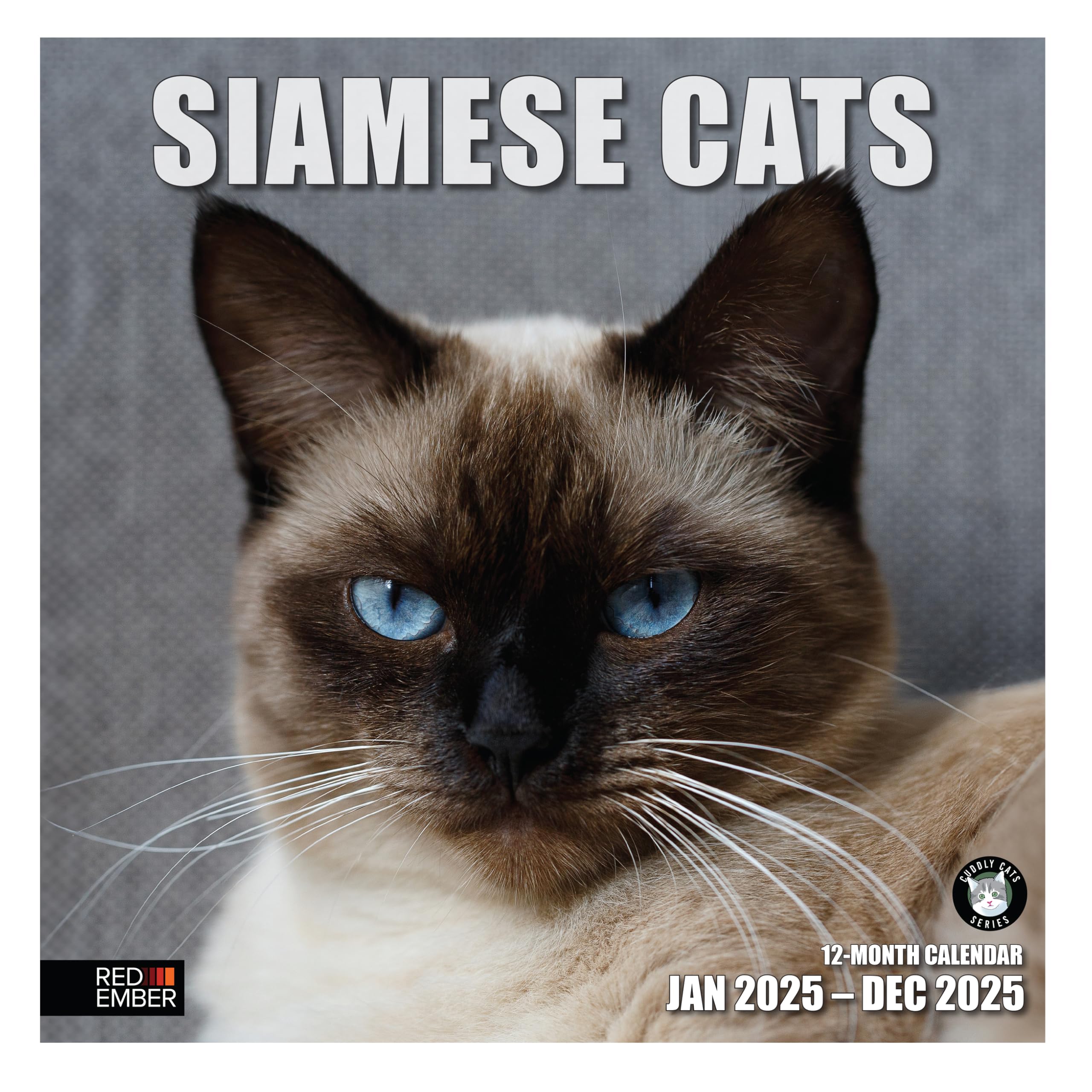 Amazon.com: RED EMBER Siamese Cats 2025 Wall Calendar 12 Month | 12" x ...