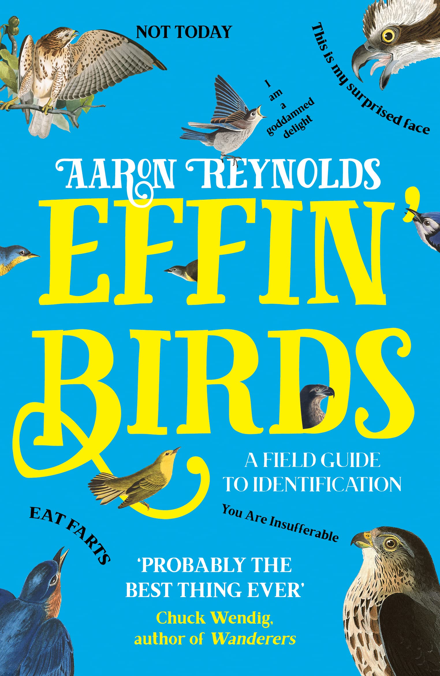 Effin' Birds: A Field Guide to Identification : Reynolds, Aaron: Amazon ...