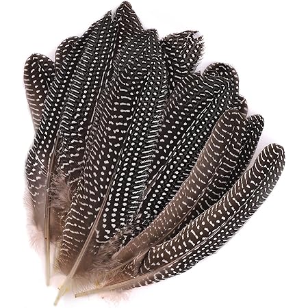 30 Pcs Natural Pheasant Feathers,DIY Pheasant Tails Feather,15-28 cm ...