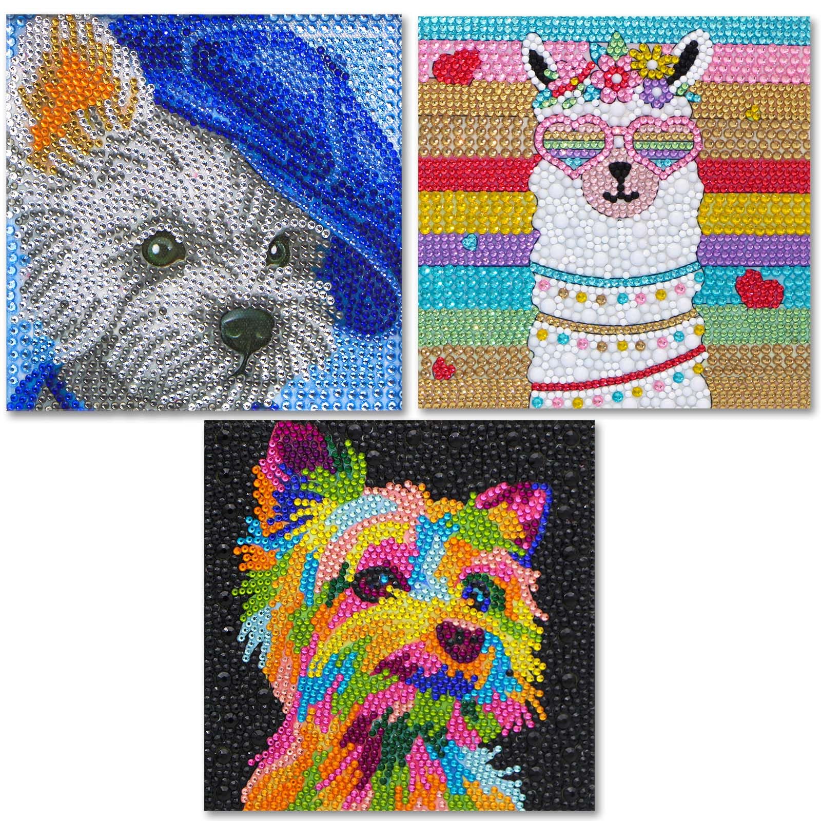 Amazon.com: Sloikey Diamond Art Kits for Kids Suit for Kids Ages 6-8-9 ...