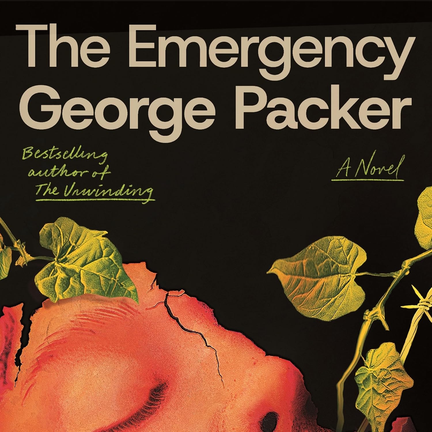 Amazon.com: The Emergency: A Novel (Audible Audio Edition): George ...
