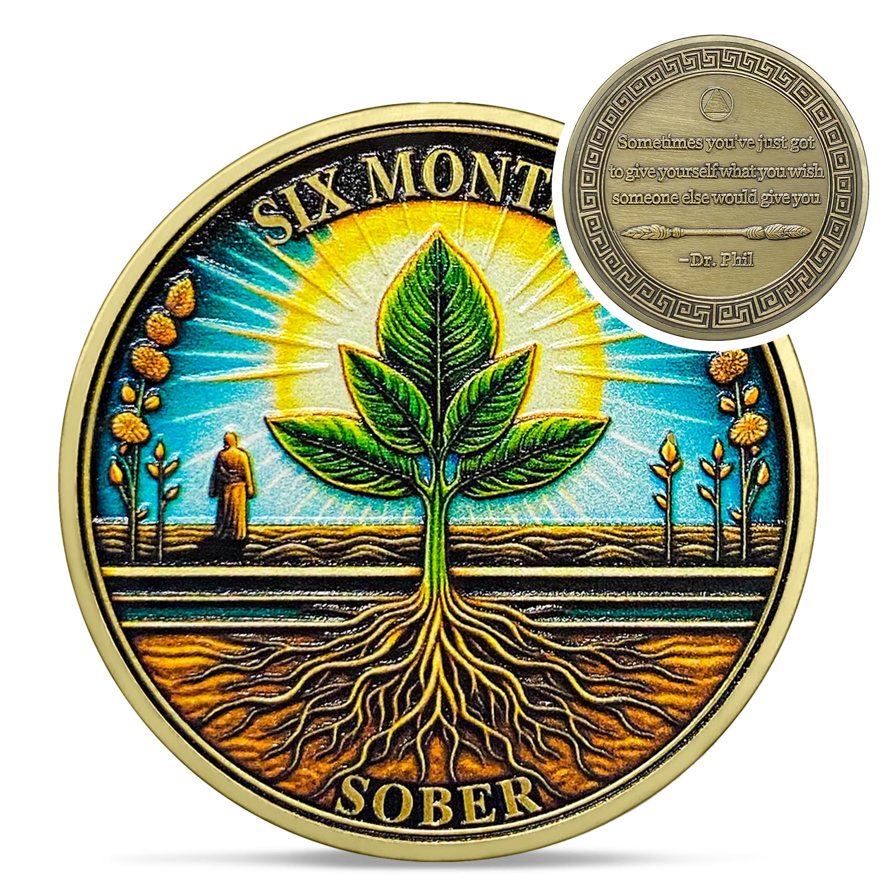 Snapklik.com : Original Six Month Sobriety Coin - Rebirth Sapling 6 ...